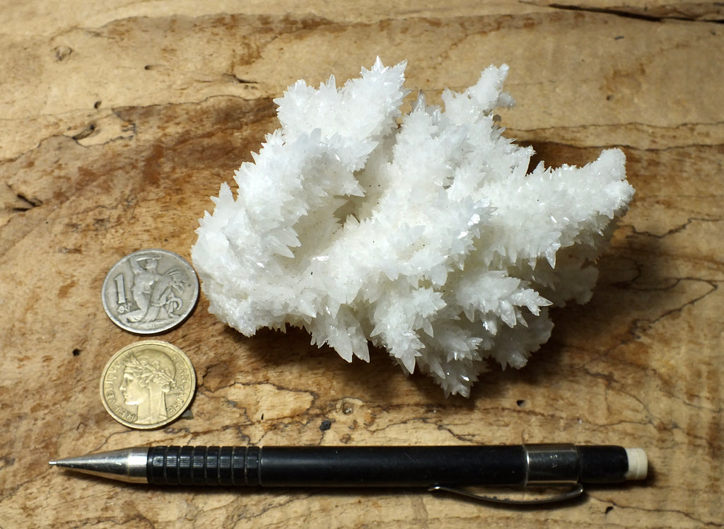 aragonite - "cave calcite" - El Potosi Mine, Santa Eulalia Mining Dist – Geological Specimen Supply