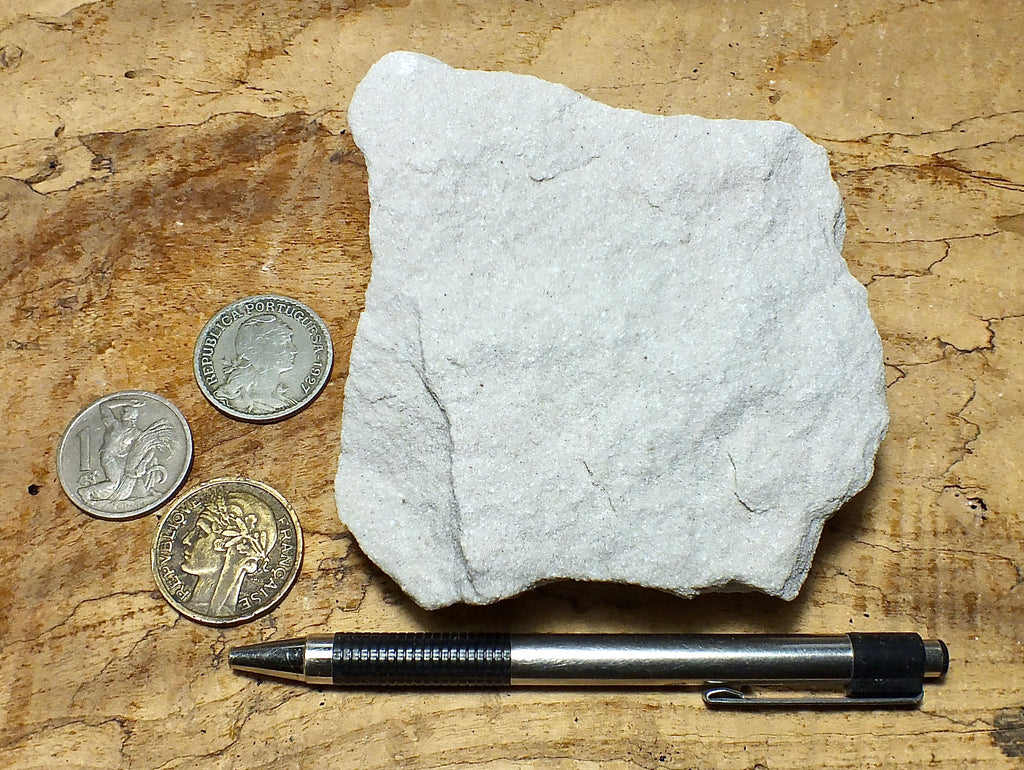 sandstone - teaching hand specimen of Jurassic fine-grained white Nava ...