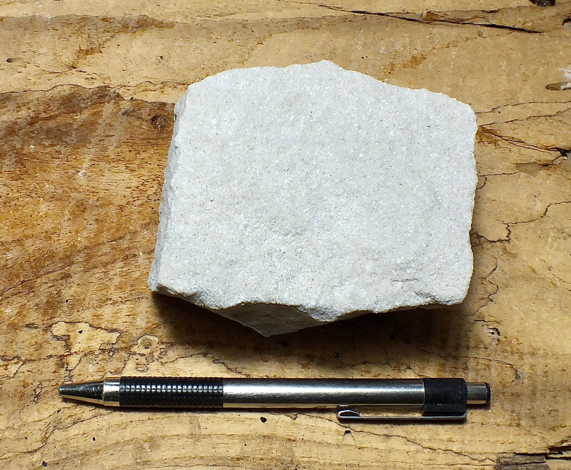 sandstone - Jurassic fine-grained white Navajo Sandstone, naturally bl ...