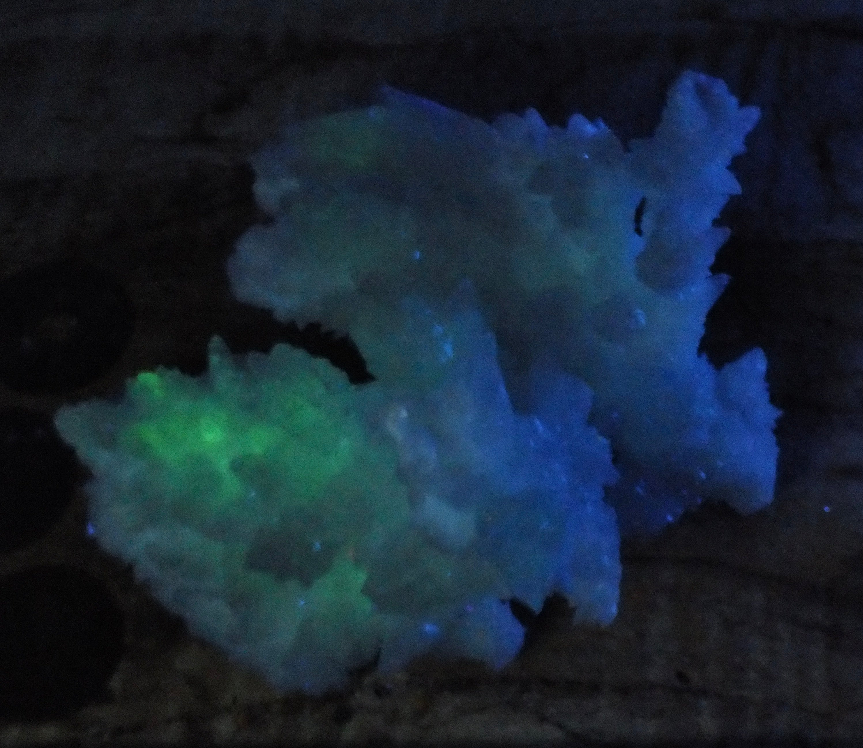 Geological Specimen Supply