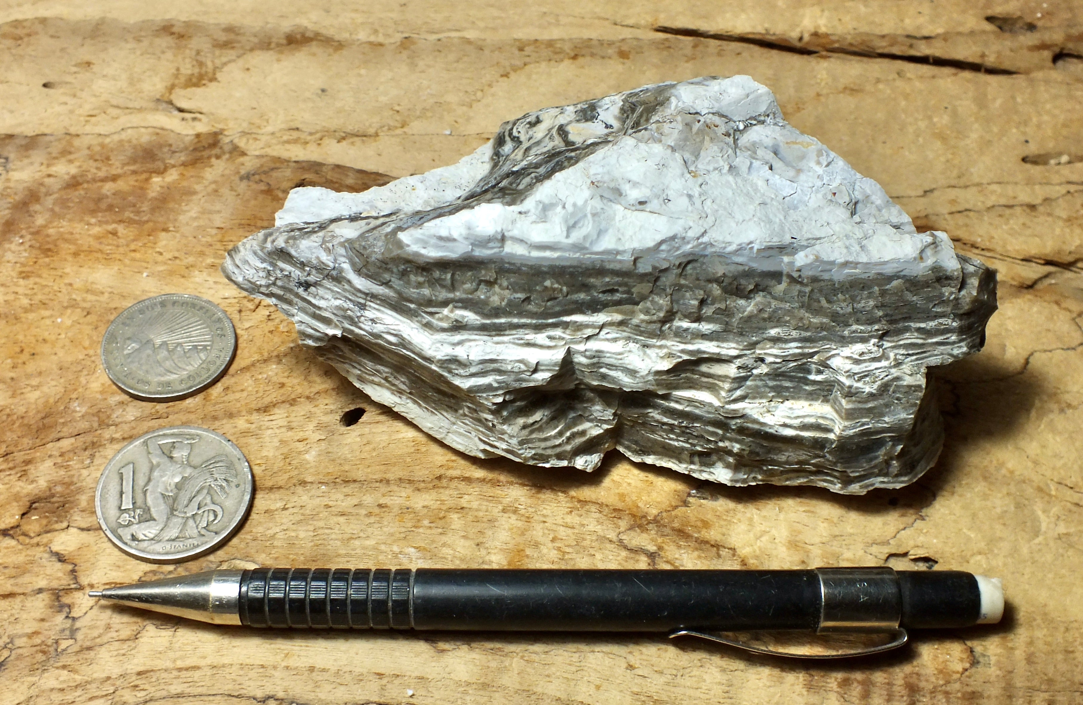 sedimentary rocks – Geological Specimen Supply