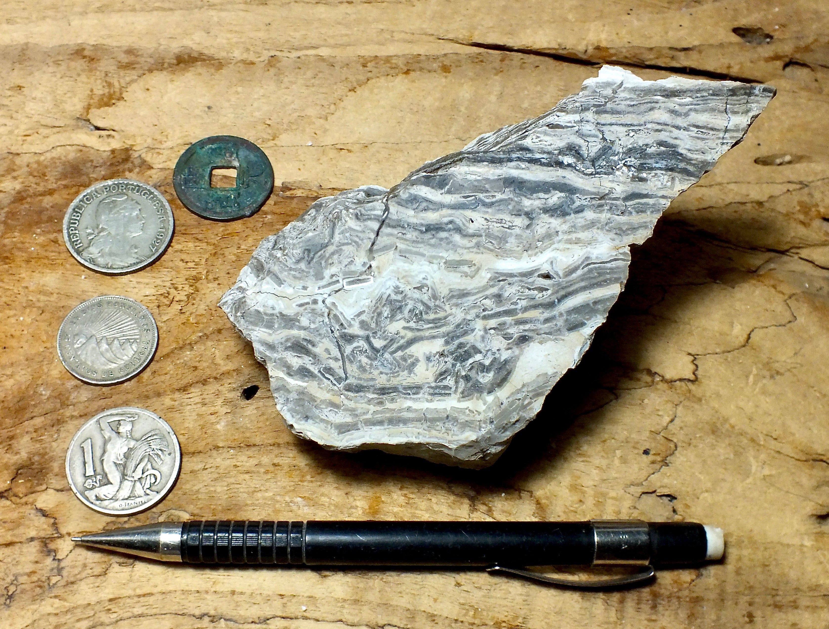 sedimentary rocks – Geological Specimen Supply