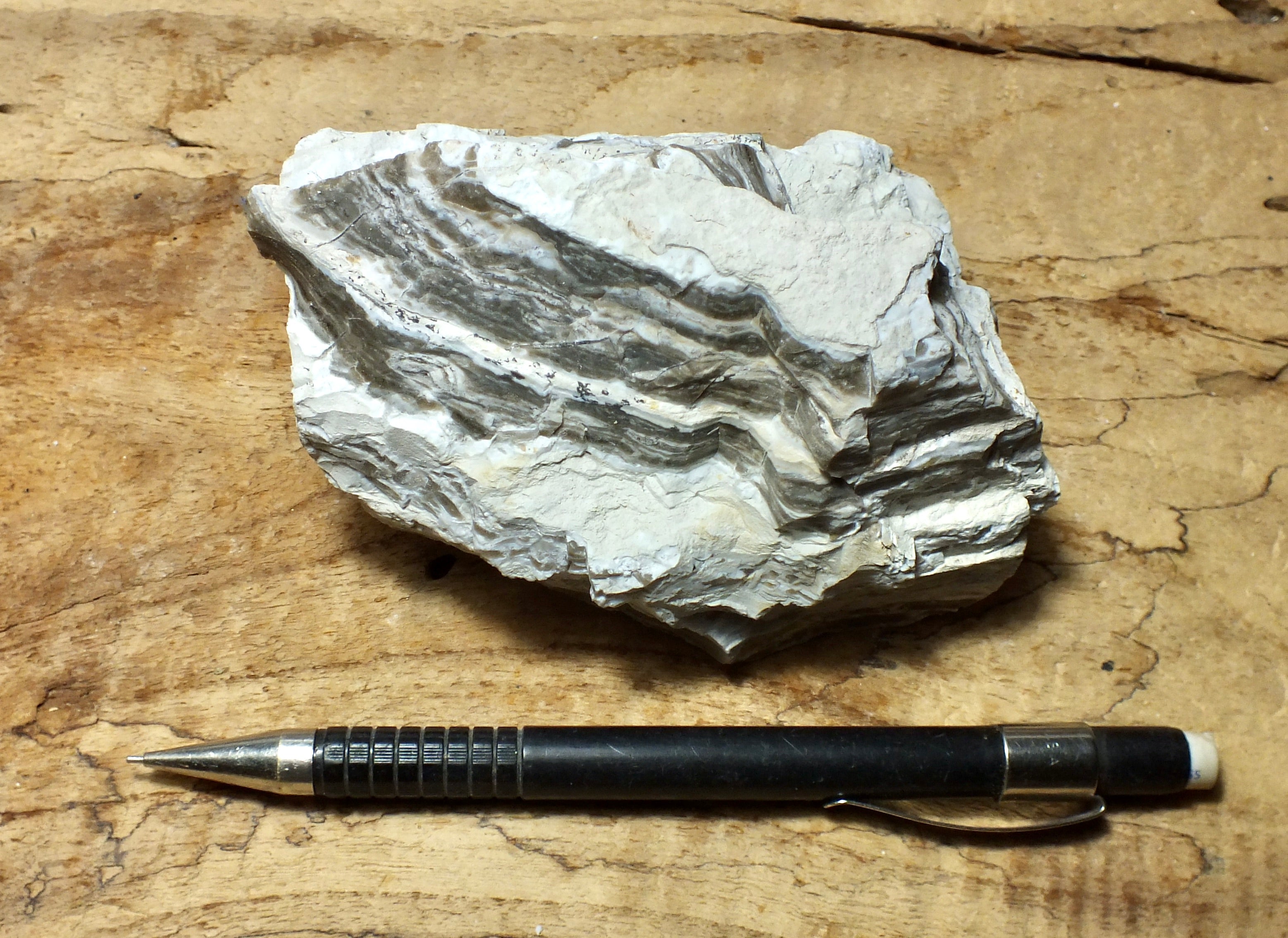 sedimentary rocks – Geological Specimen Supply