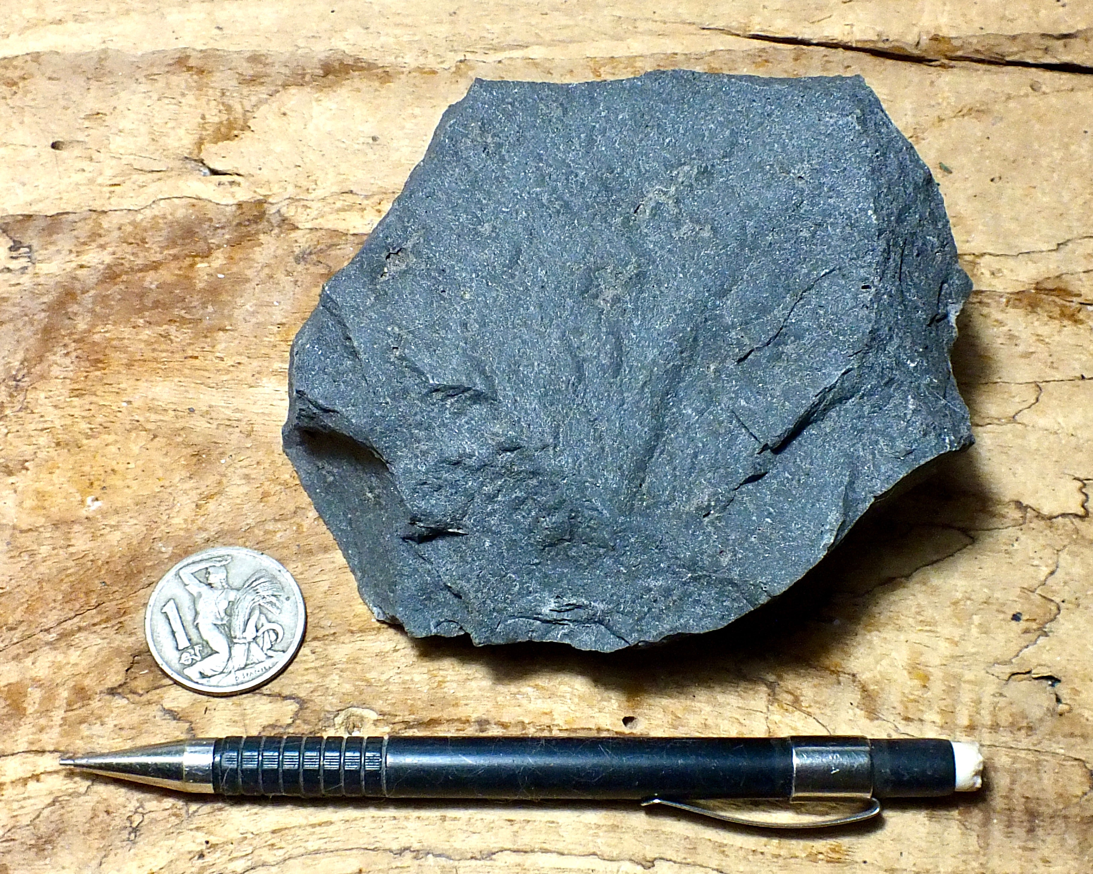 whole catalog in alphabetical order – Geological Specimen Supply