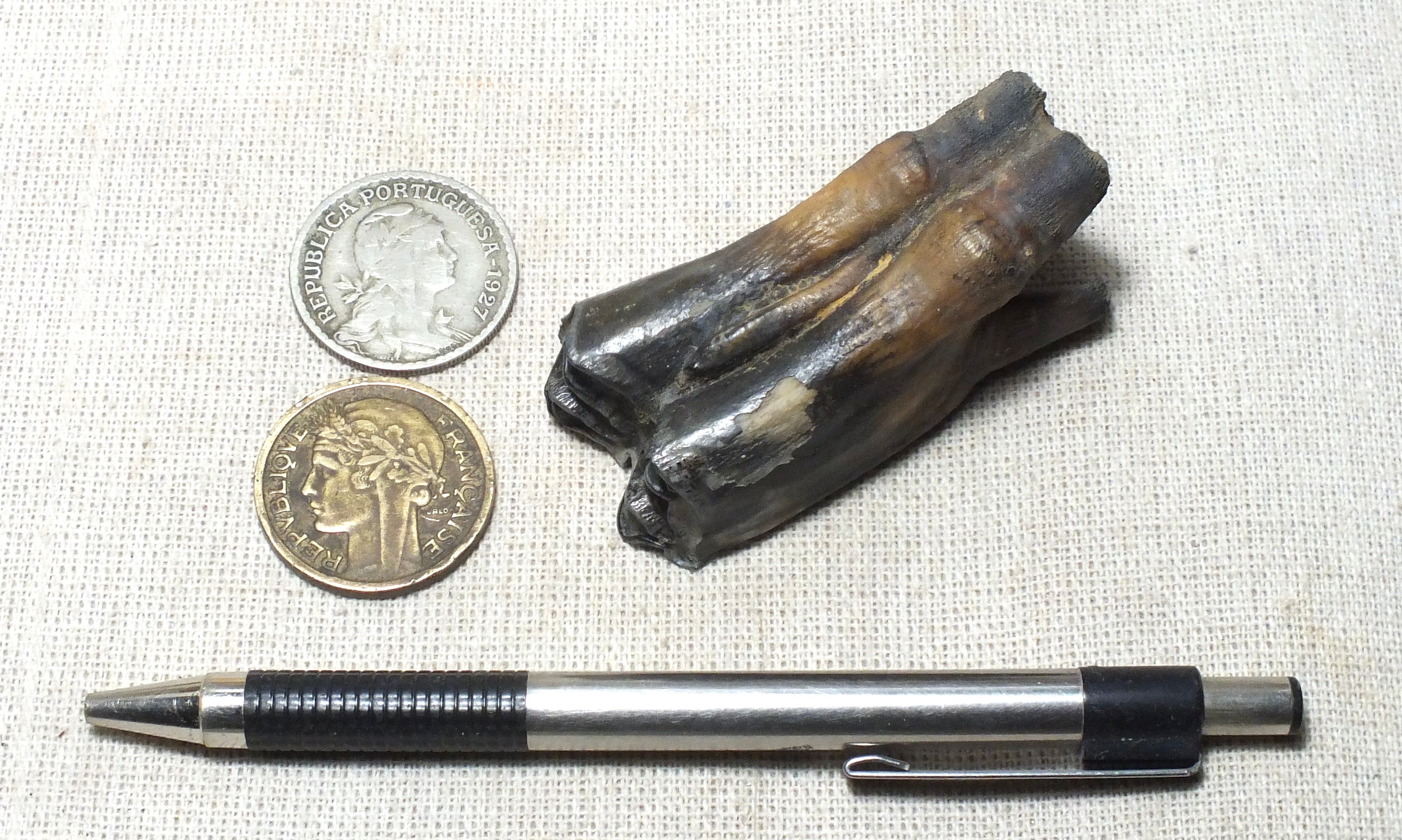 Geological Specimen Supply