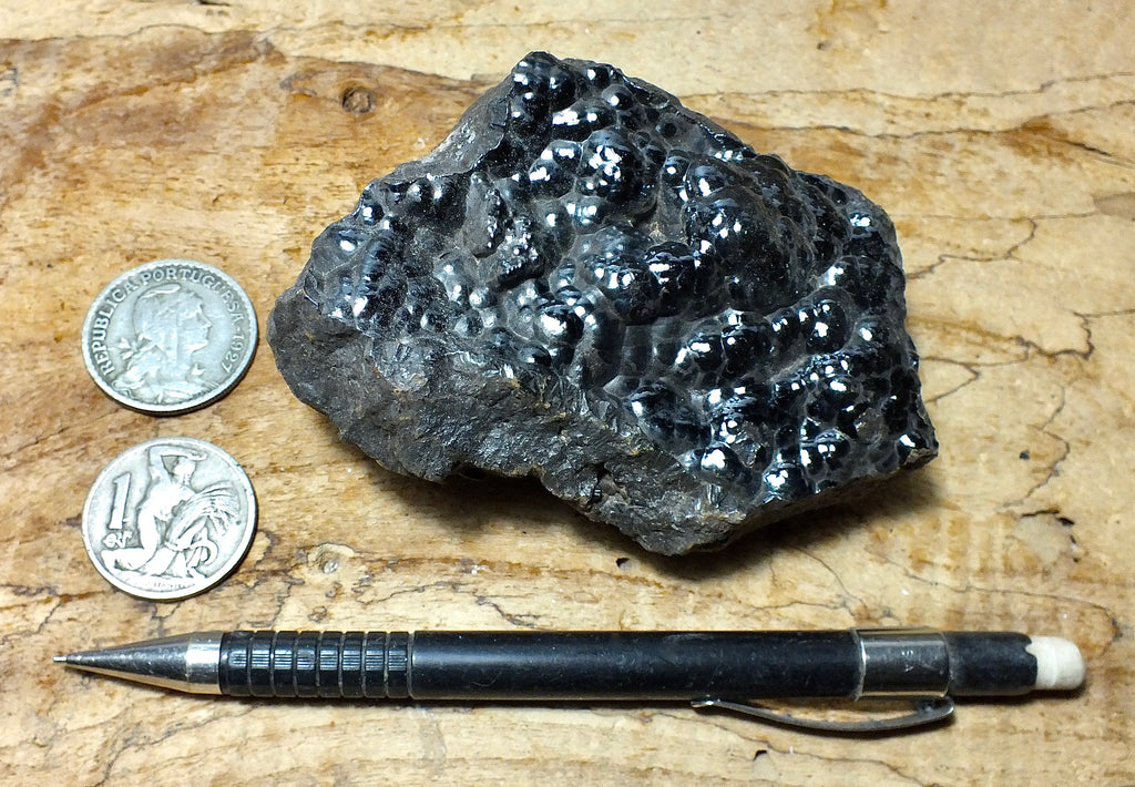 hematite - botryoidal hematite from Morocco - teaching hand/display sp ...