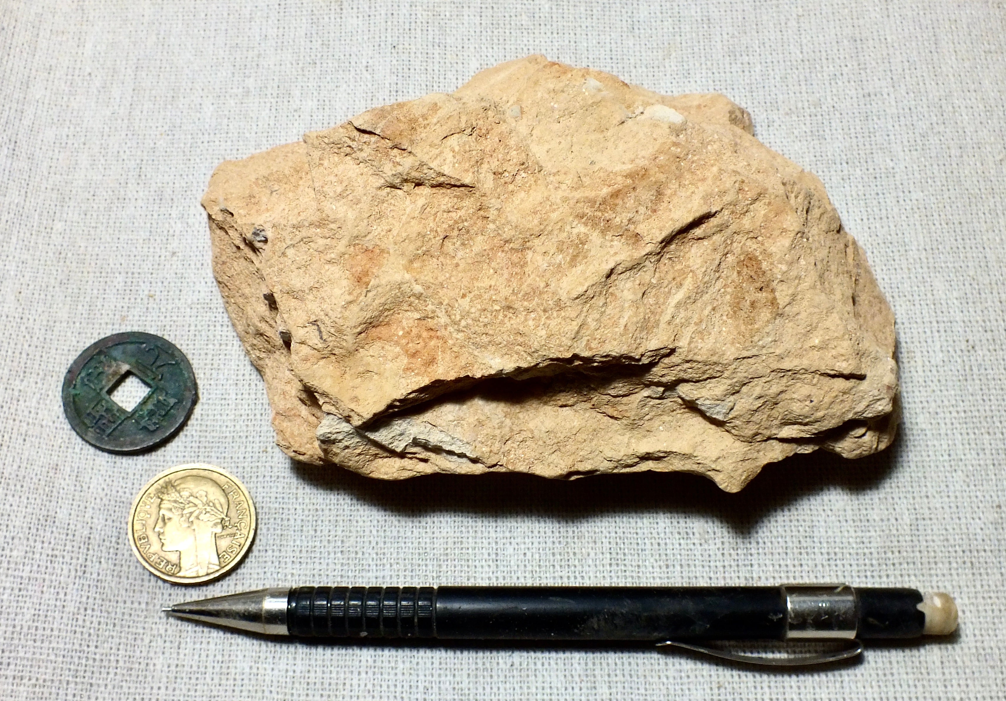 sedimentary rocks – Geological Specimen Supply