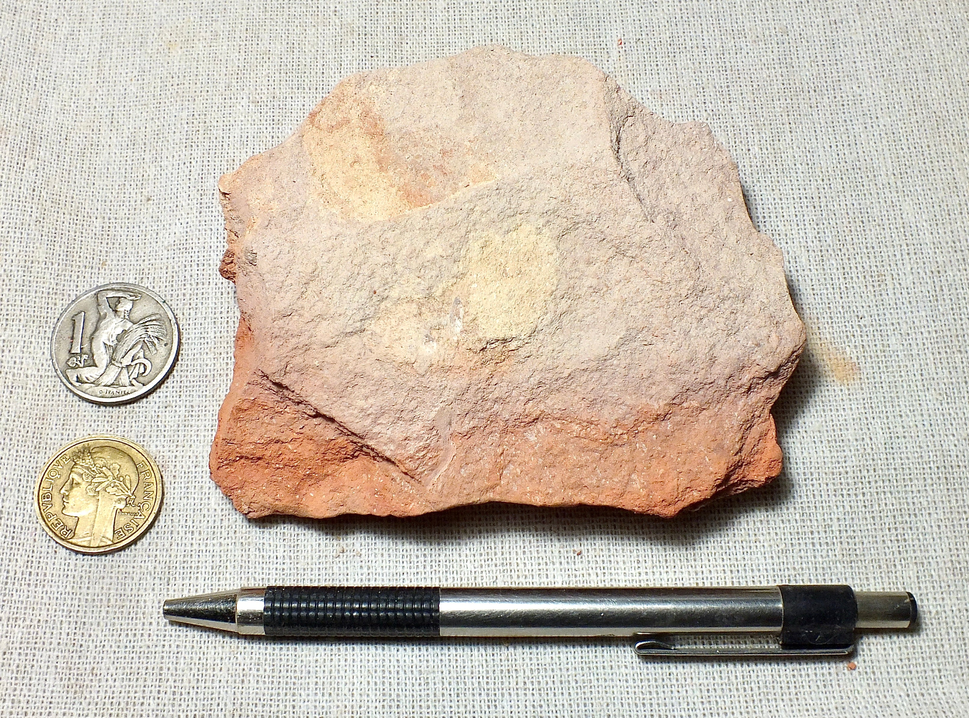 sedimentary rocks – Geological Specimen Supply