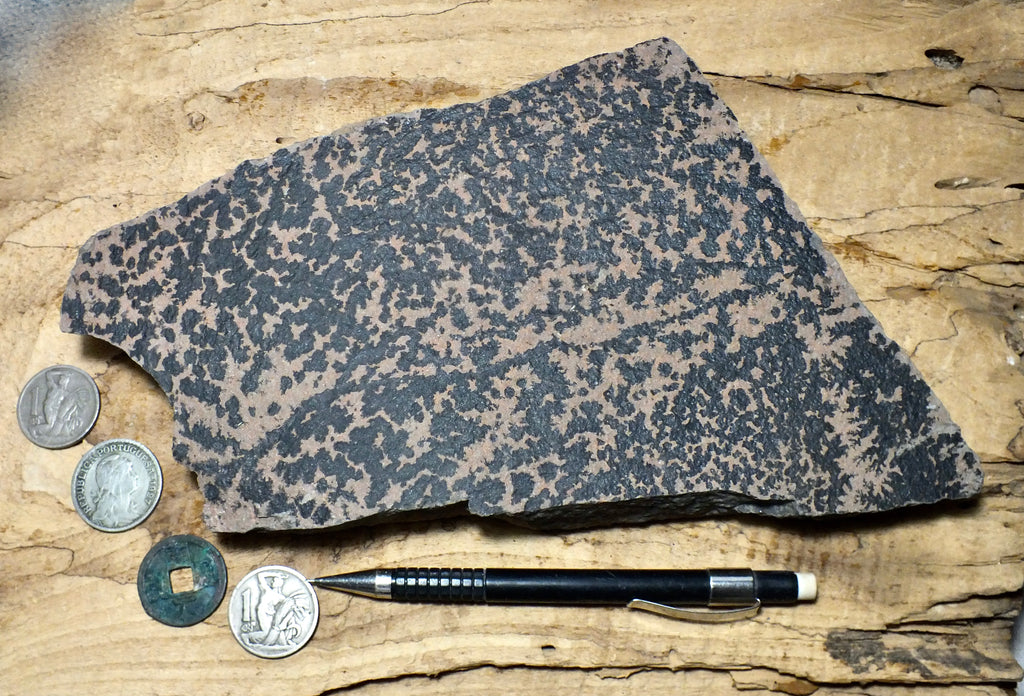 dendrites - hand/display specimen of manganese oxide dendrites ...