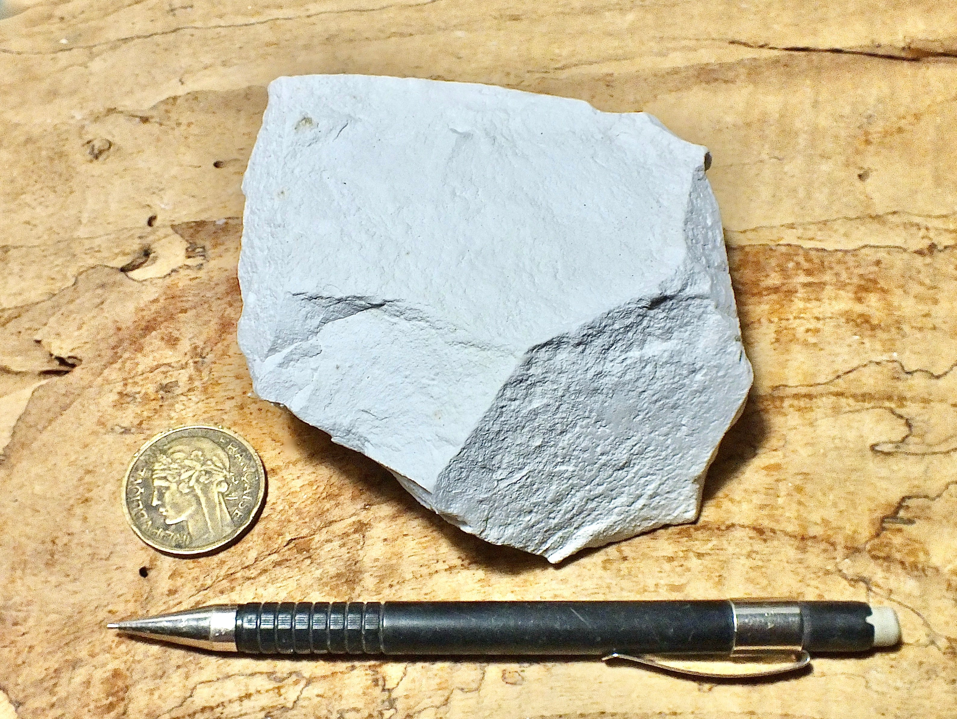 diatomite - teaching hand specimen of lacustrine diatomite from Minera ...