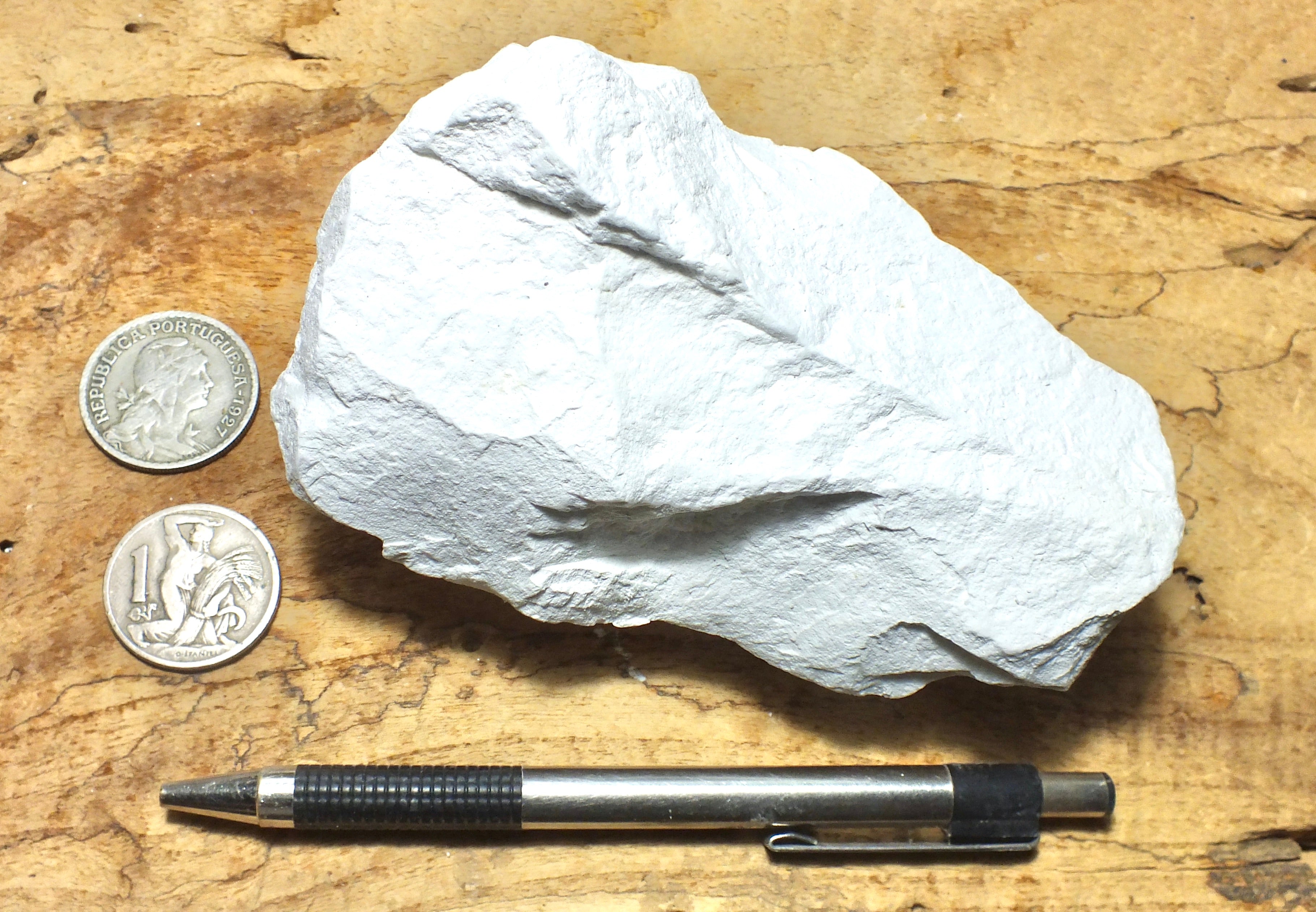 sedimentary rocks – Geological Specimen Supply