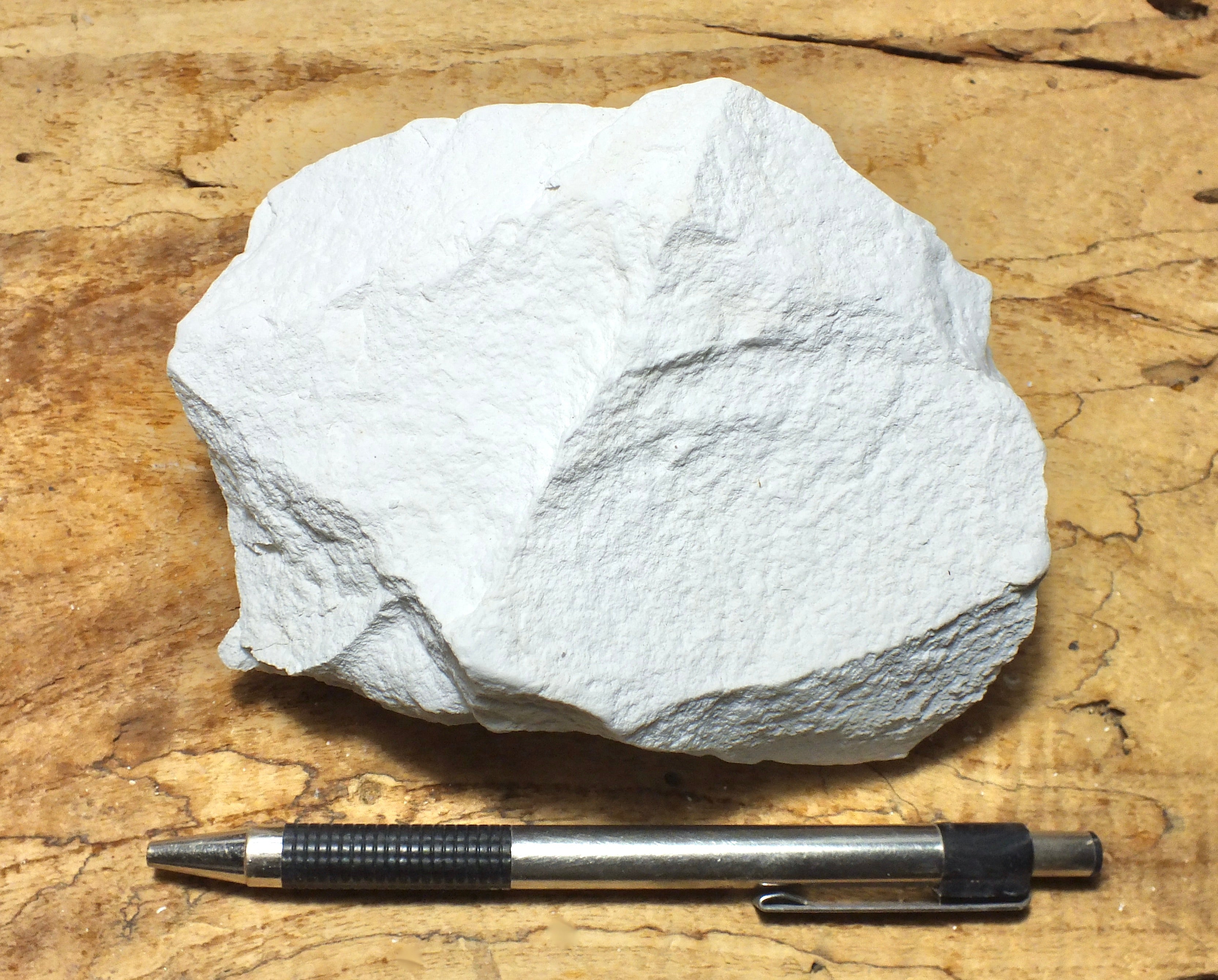 sedimentary rocks – Geological Specimen Supply