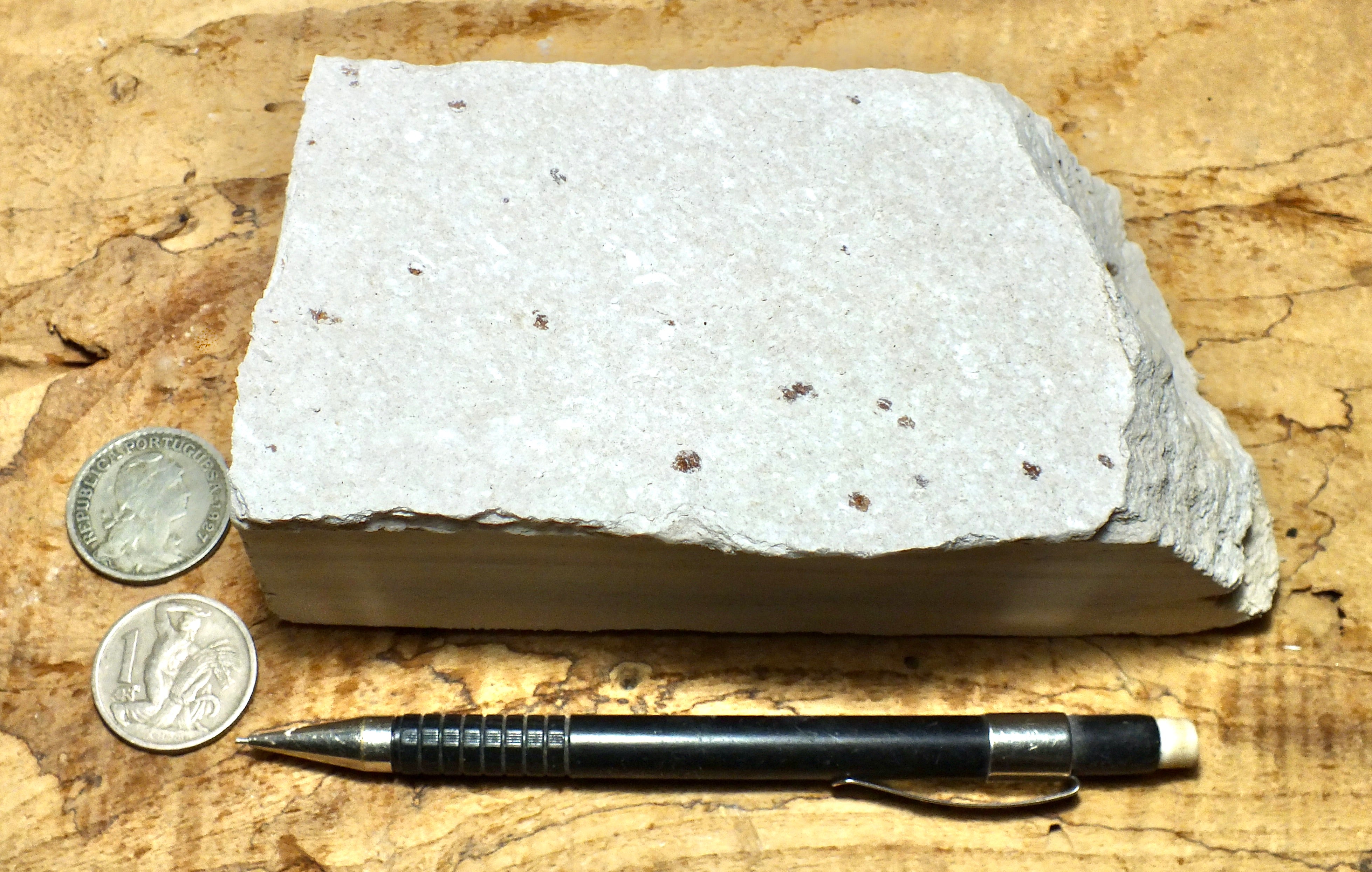 diatomite - teaching hand specimen of Miocene marine diatomite from th ...