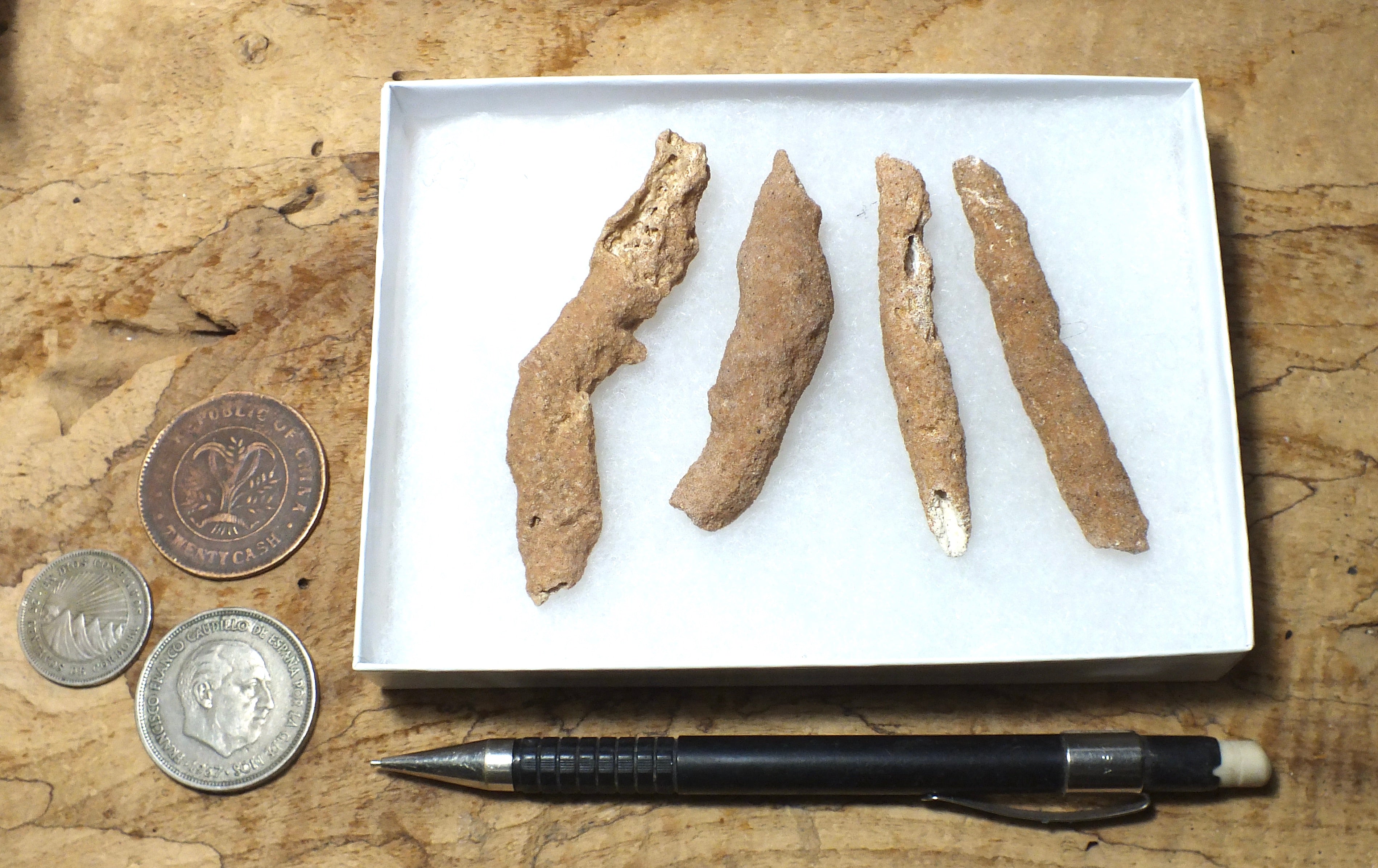 fulgurites – Geological Specimen Supply