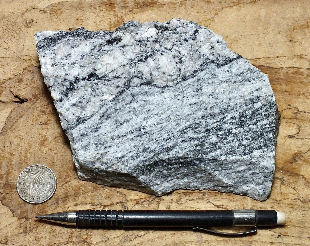 gneiss - hand/display specimen of a Proterozoic granite gneiss ...