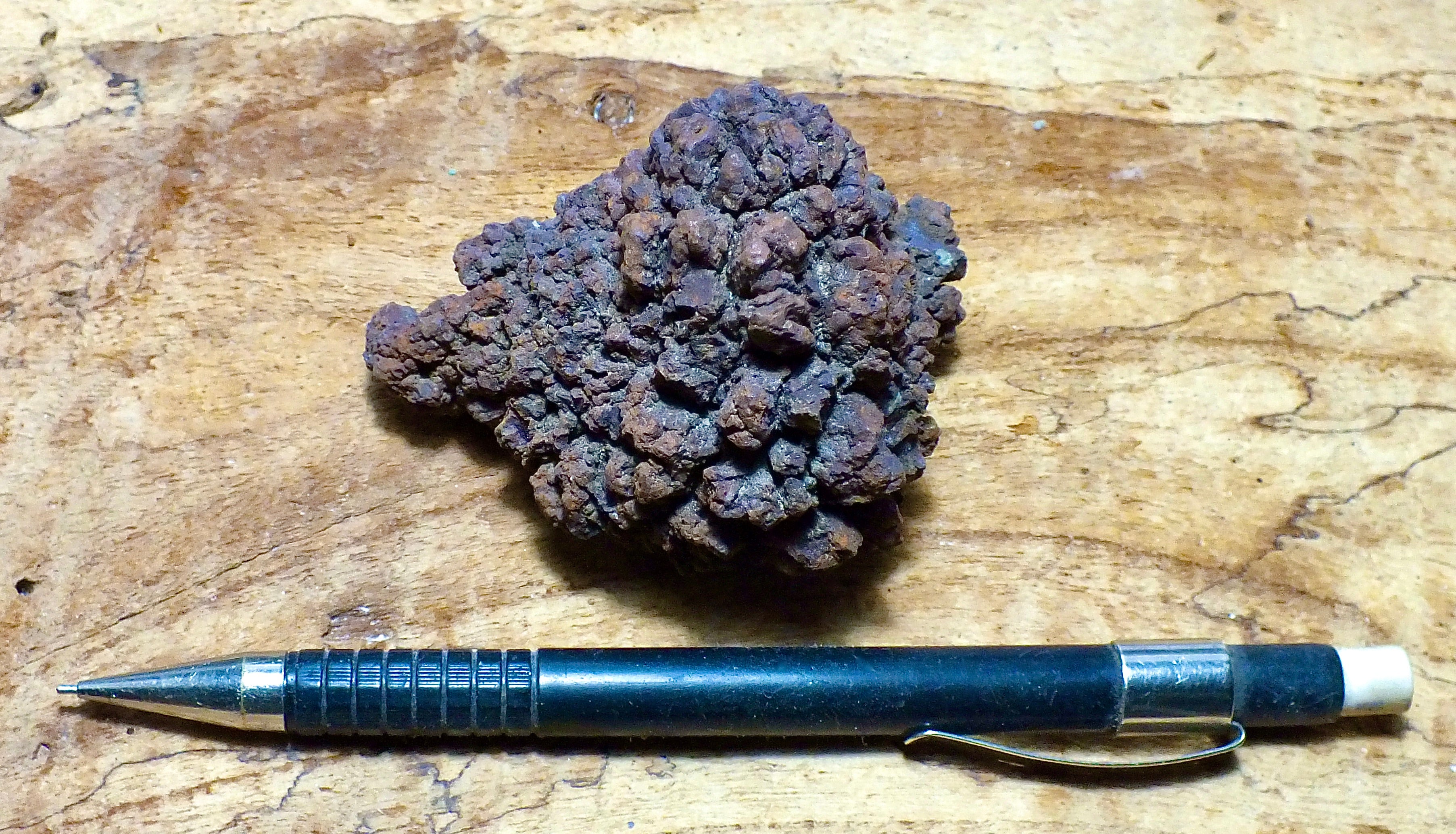 sedimentary rocks – Geological Specimen Supply