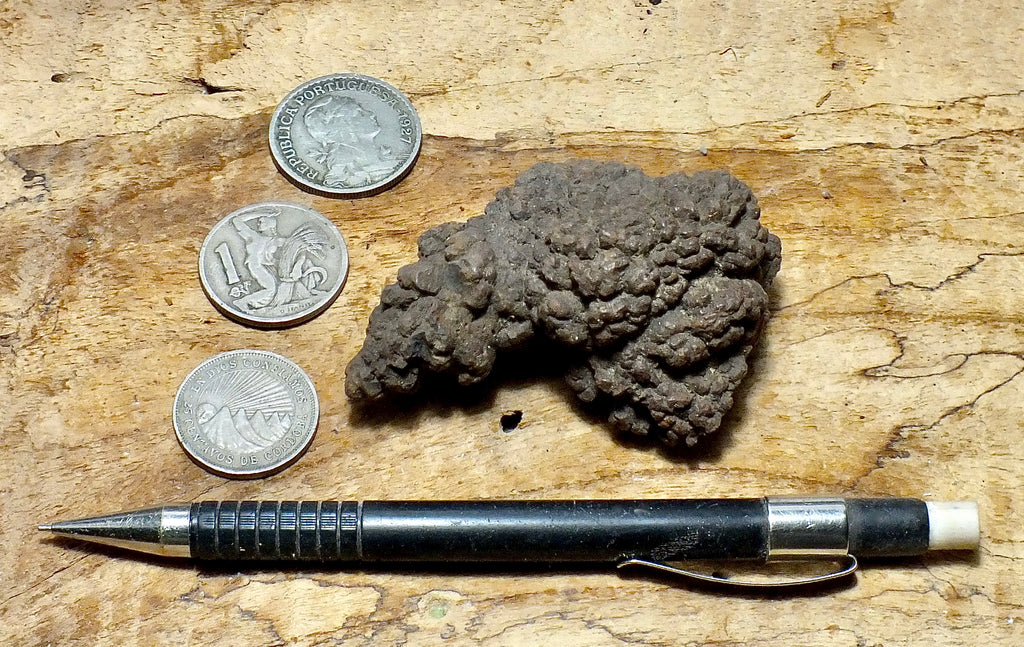 concretions - ironstone concretion from Madagascar - hand specimen ...