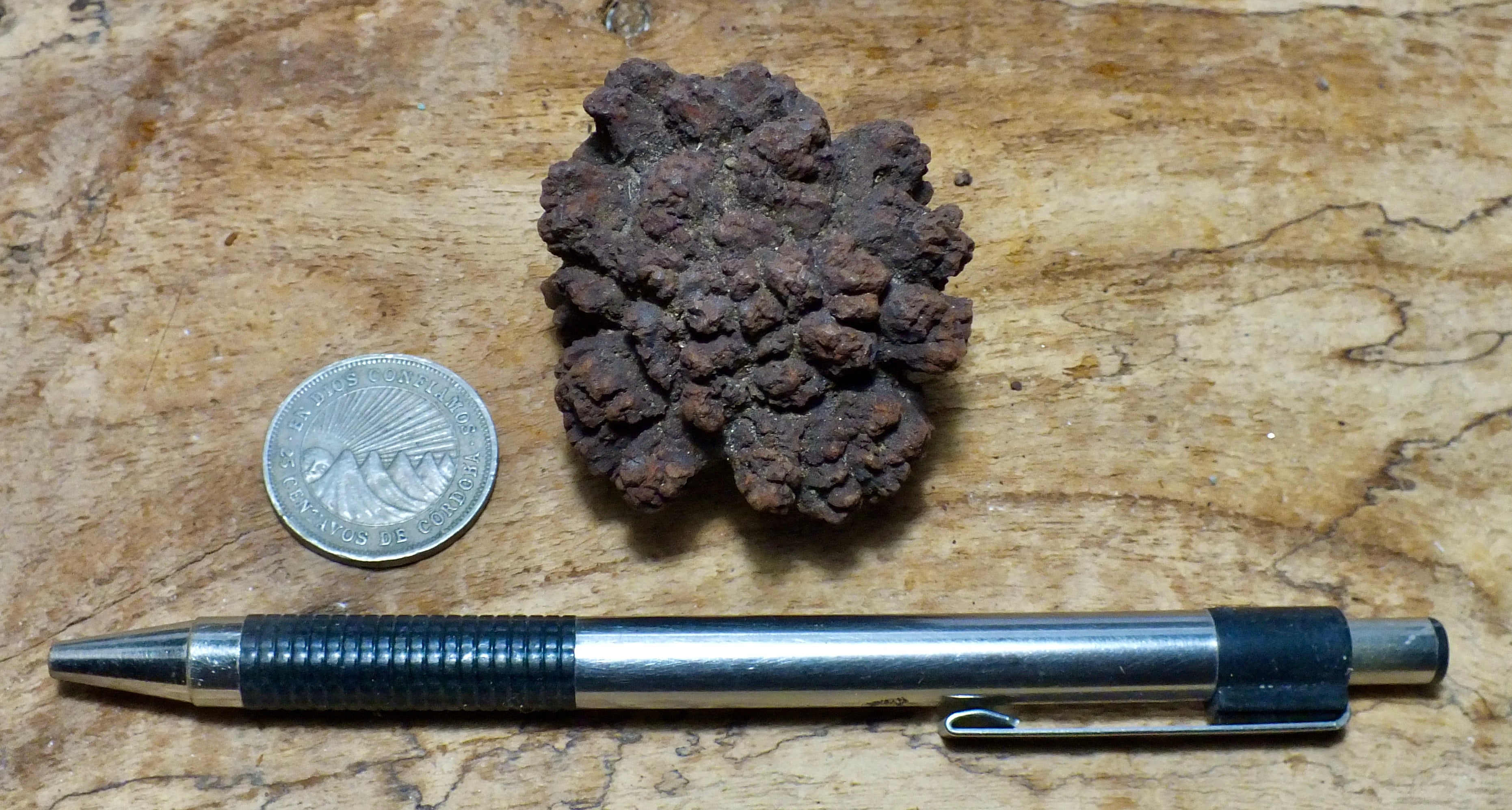 sedimentary rocks – Geological Specimen Supply