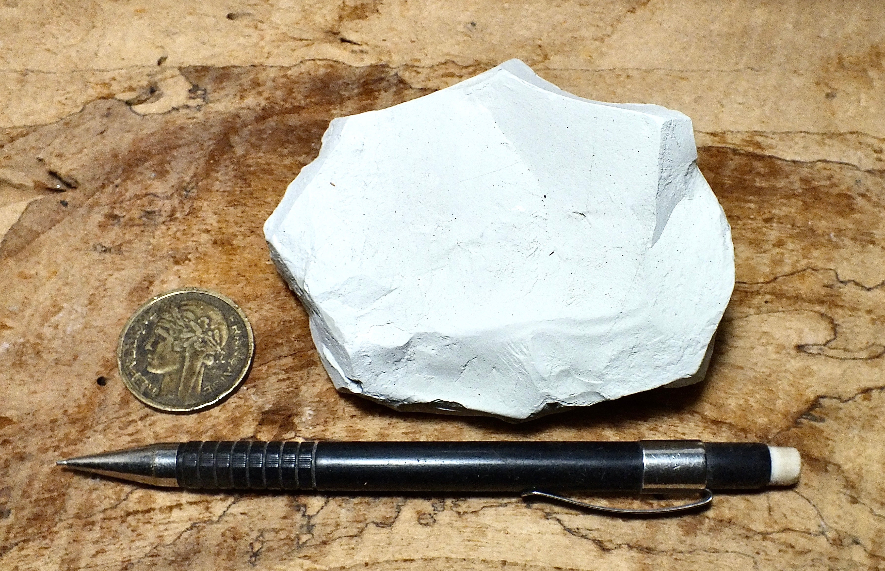 sedimentary rocks – Geological Specimen Supply