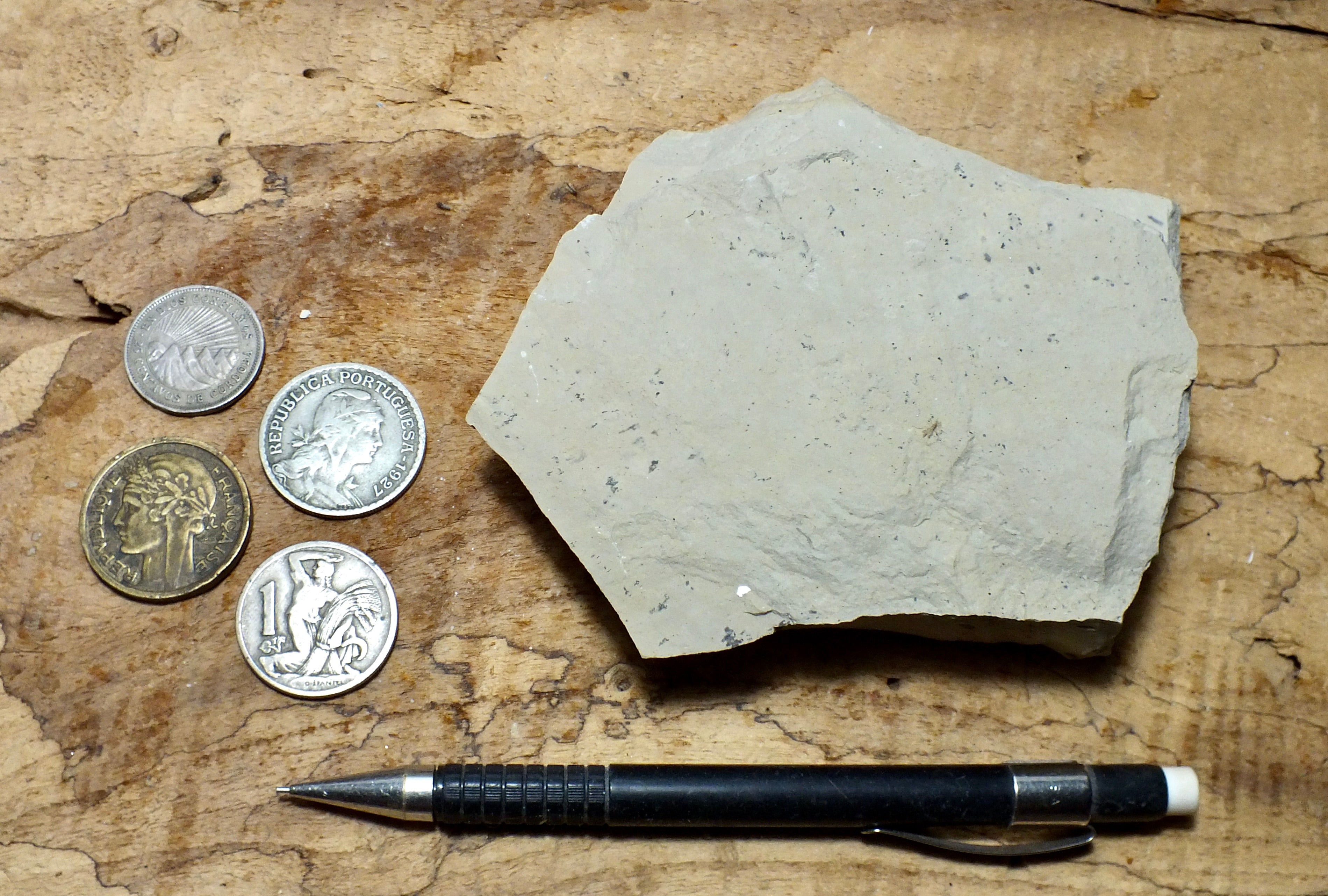 limestone - tan silty limestone from the Jurassic Carmel Fm. - teachin ...