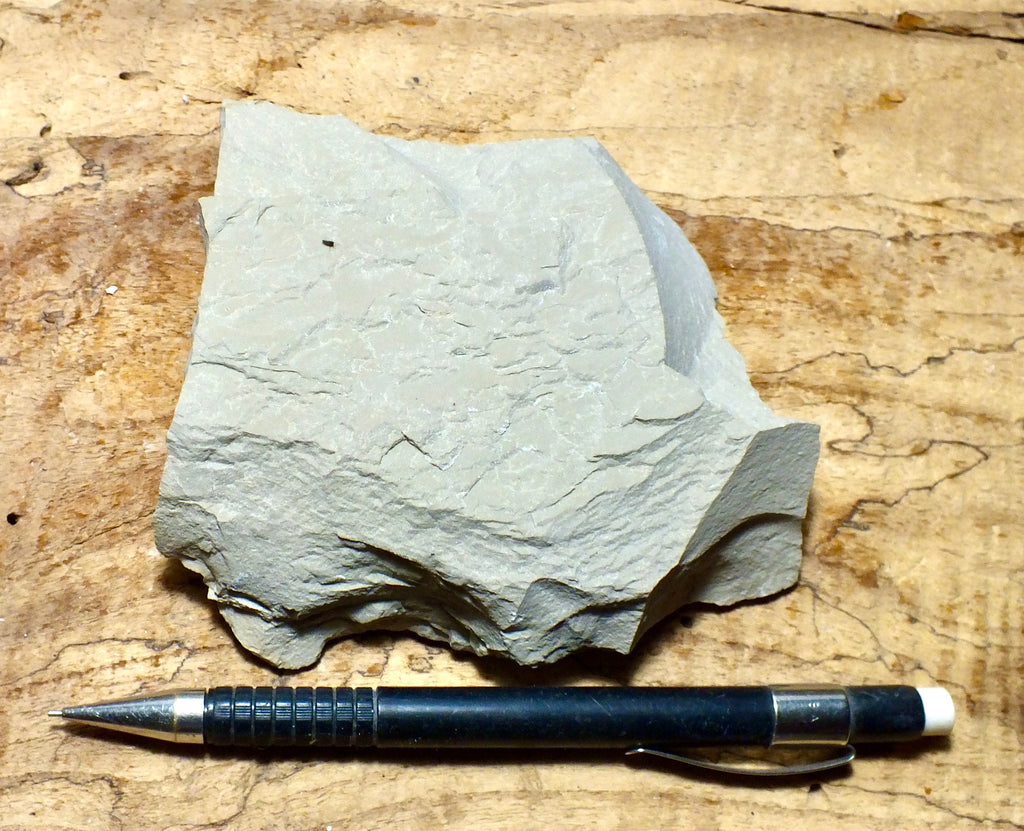 limestone - tan silty limestone from the Jurassic Carmel Fm. - teachin ...