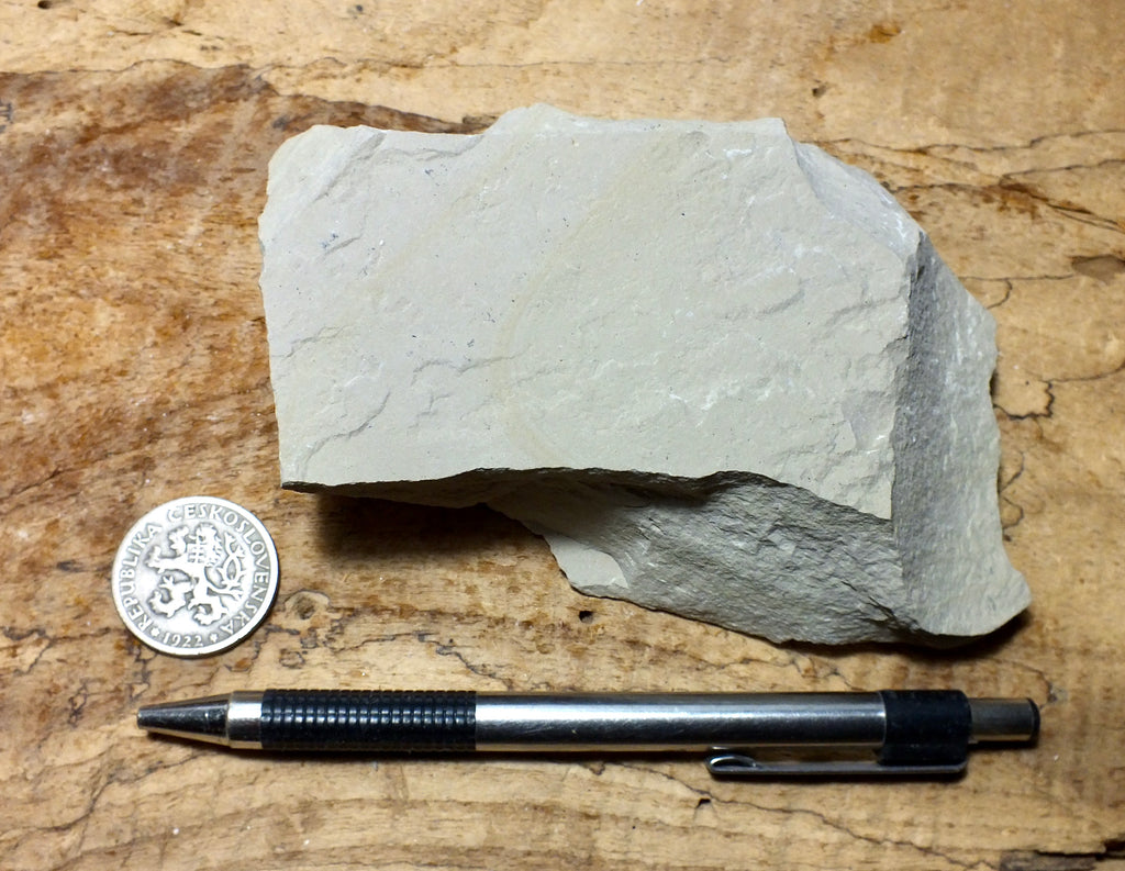 limestone - tan silty limestone from the Jurassic Carmel Fm. - teachin ...