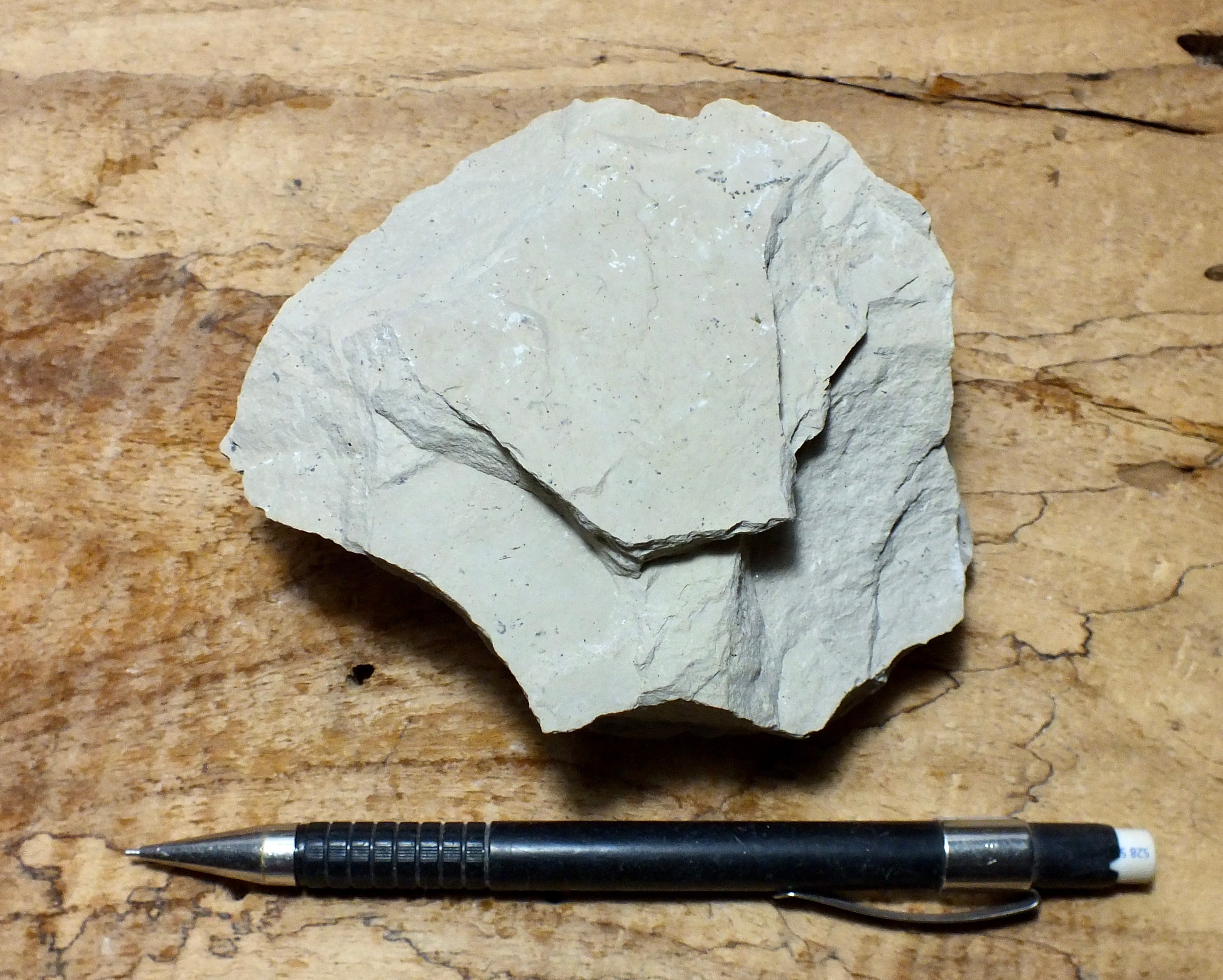 limestone - tan silty limestone from the Jurassic Carmel Fm. - hand/di ...