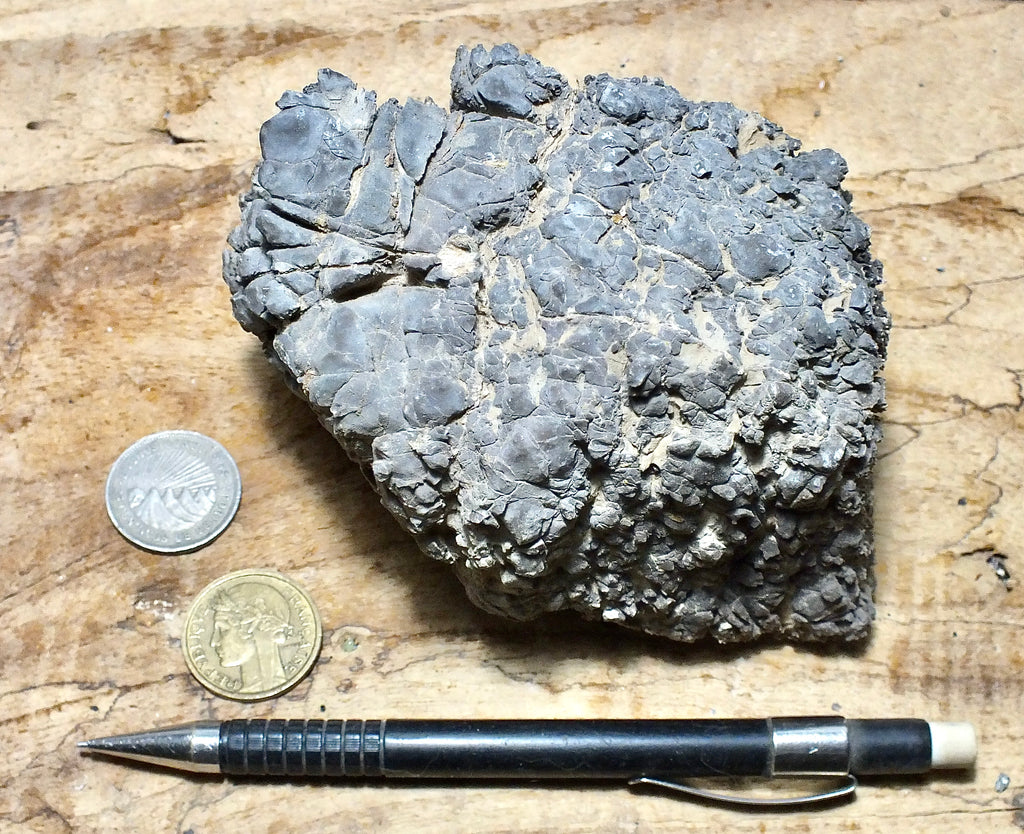 limestone - hand/display specimen showing typical dissolved surface fo ...