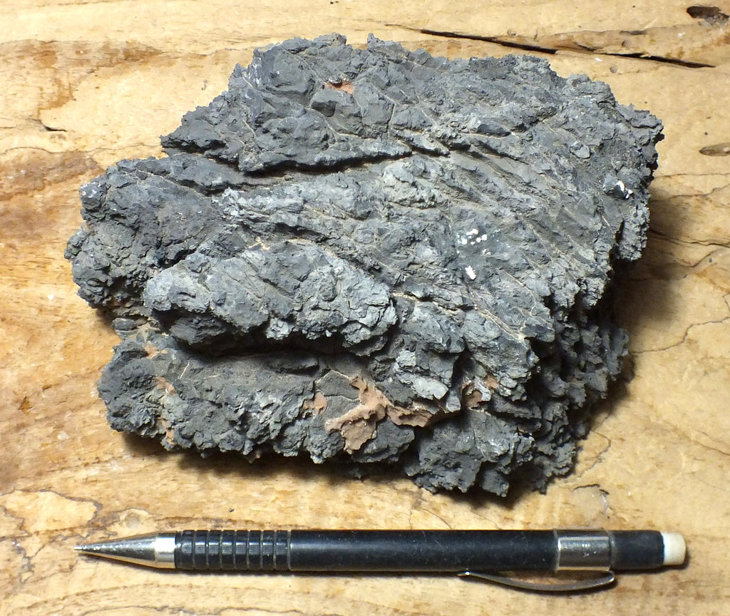 limestone - oncolitic limestone showing typical dissolved surface foun ...