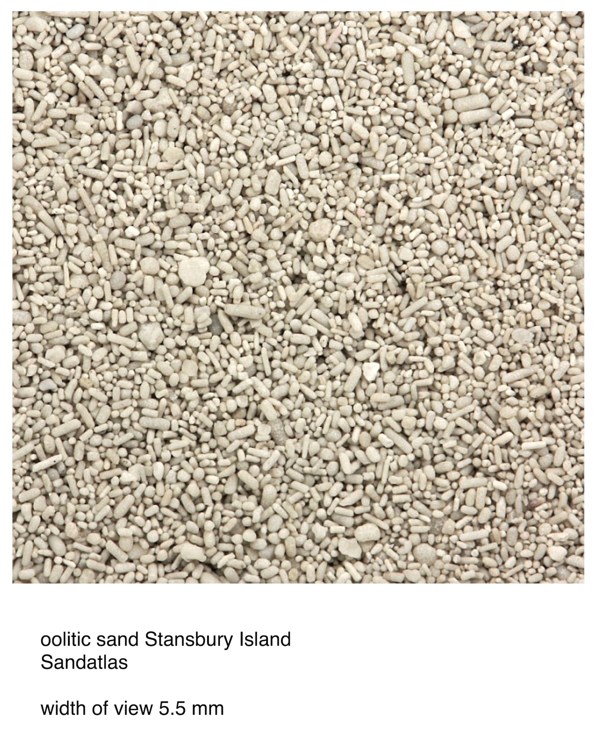 sand types – Geological Specimen Supply