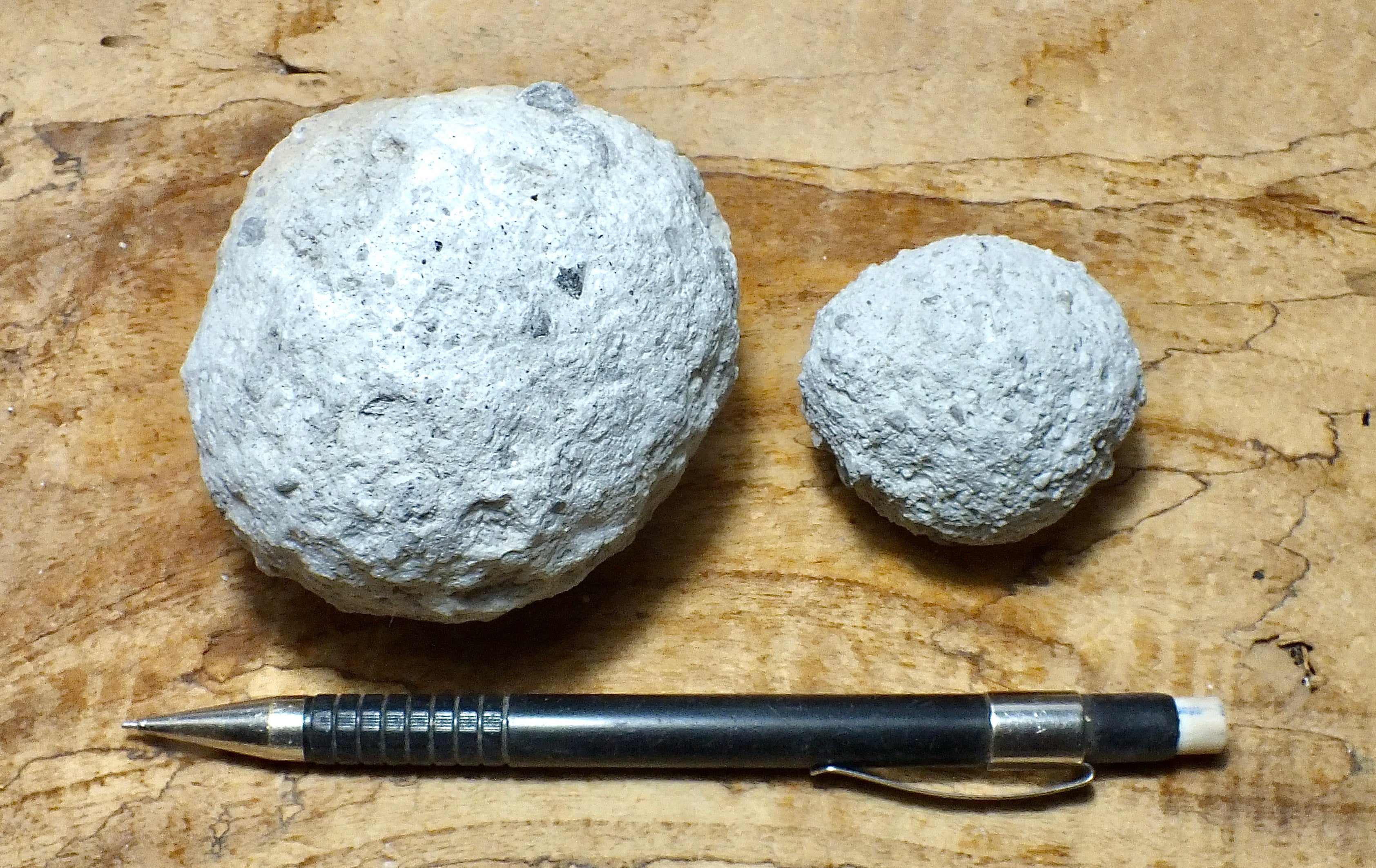 igneous rocks – Geological Specimen Supply