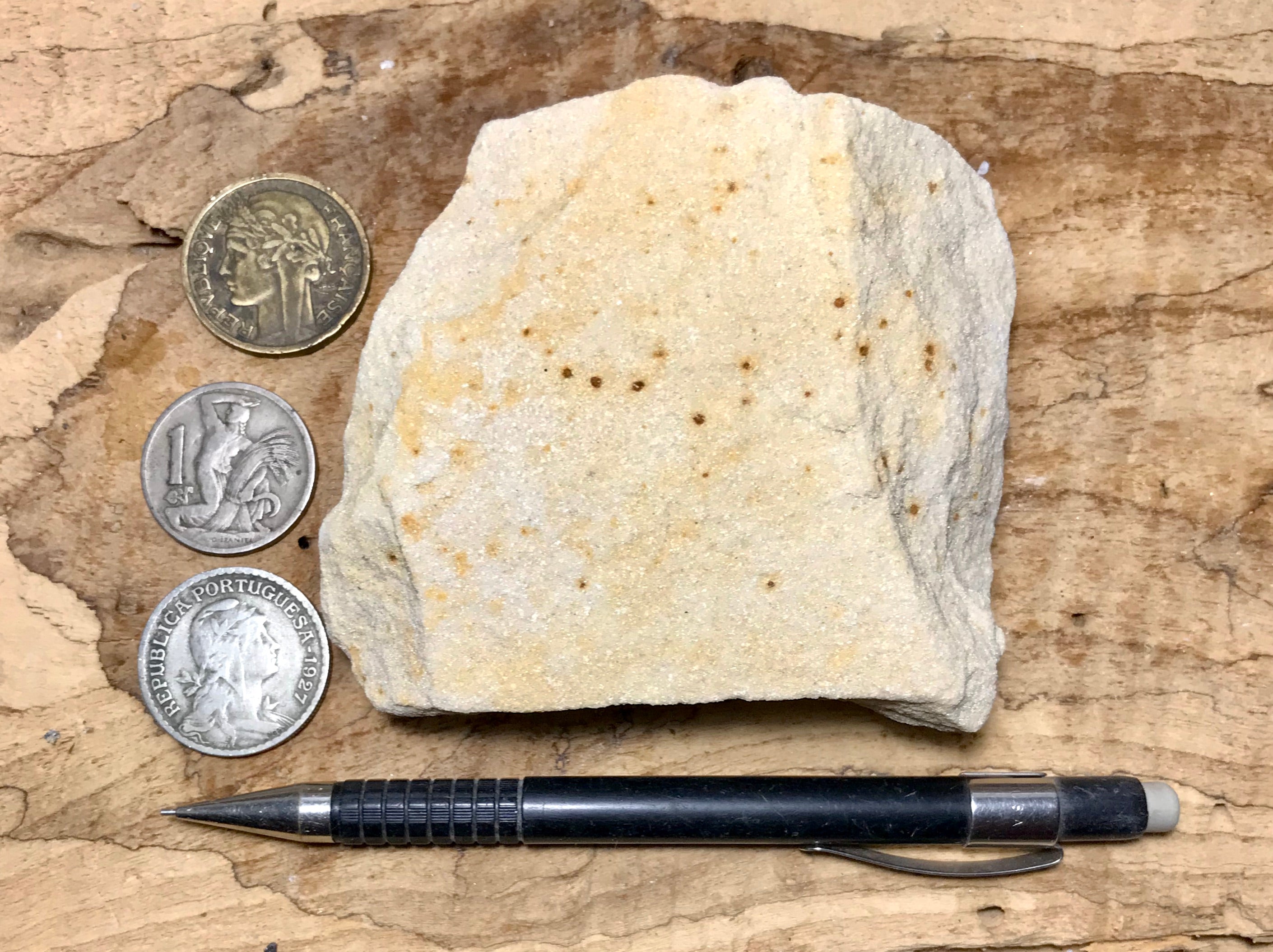 sandstone - fine grained - teaching hand specimen of an unusual arkose ...
