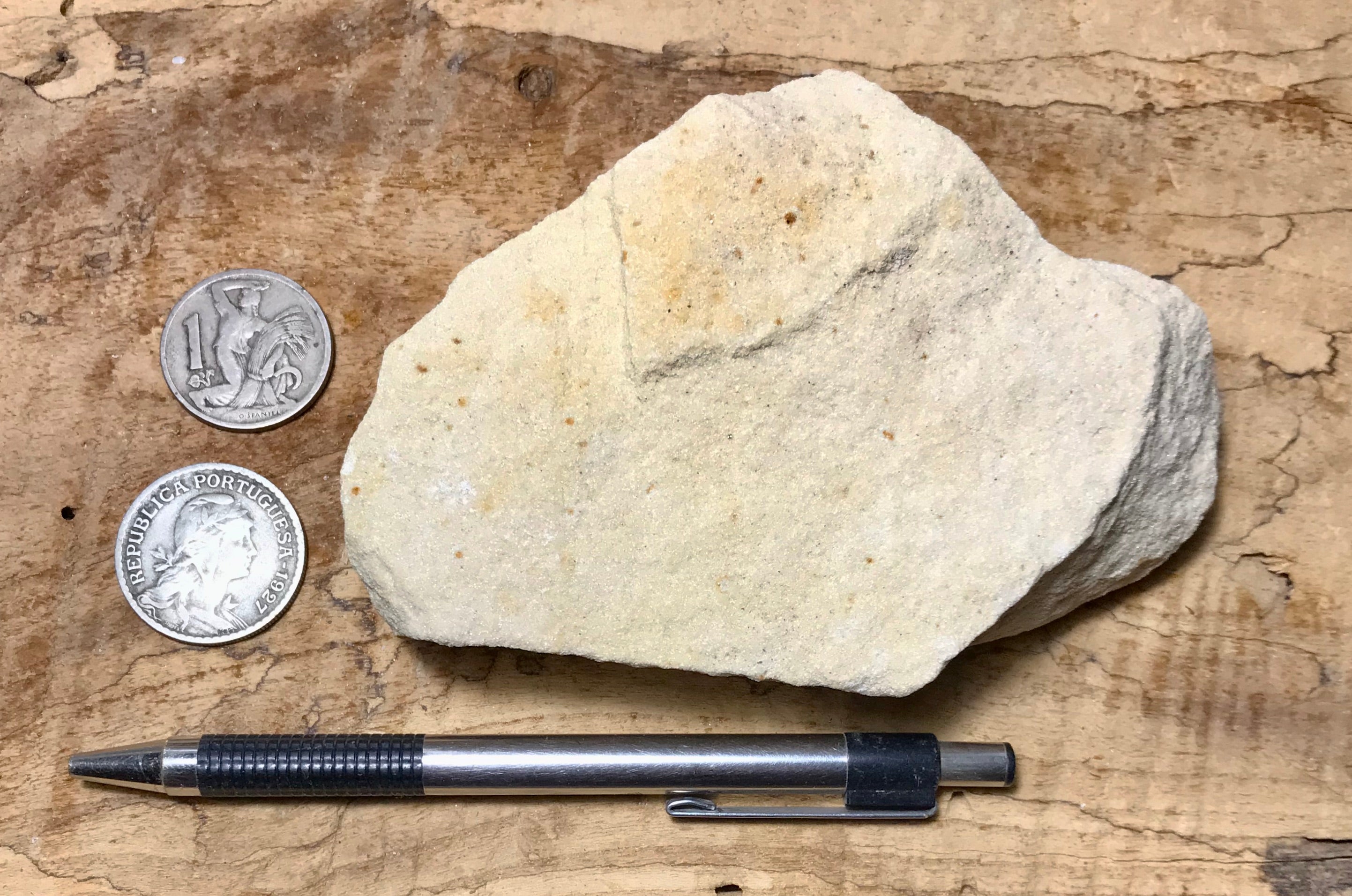 sedimentary rocks – Page 2 – Geological Specimen Supply