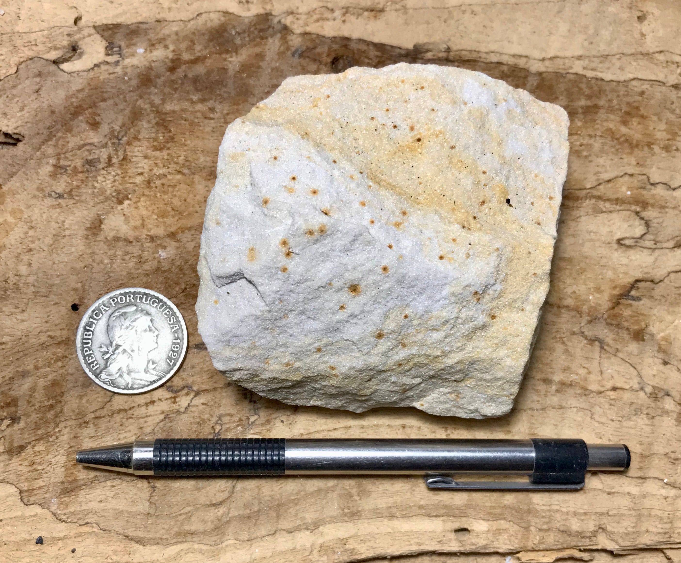 sedimentary rocks – Page 2 – Geological Specimen Supply