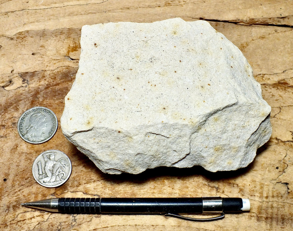 sandstone - fine grained - teaching hand/display specimen of an unusua ...