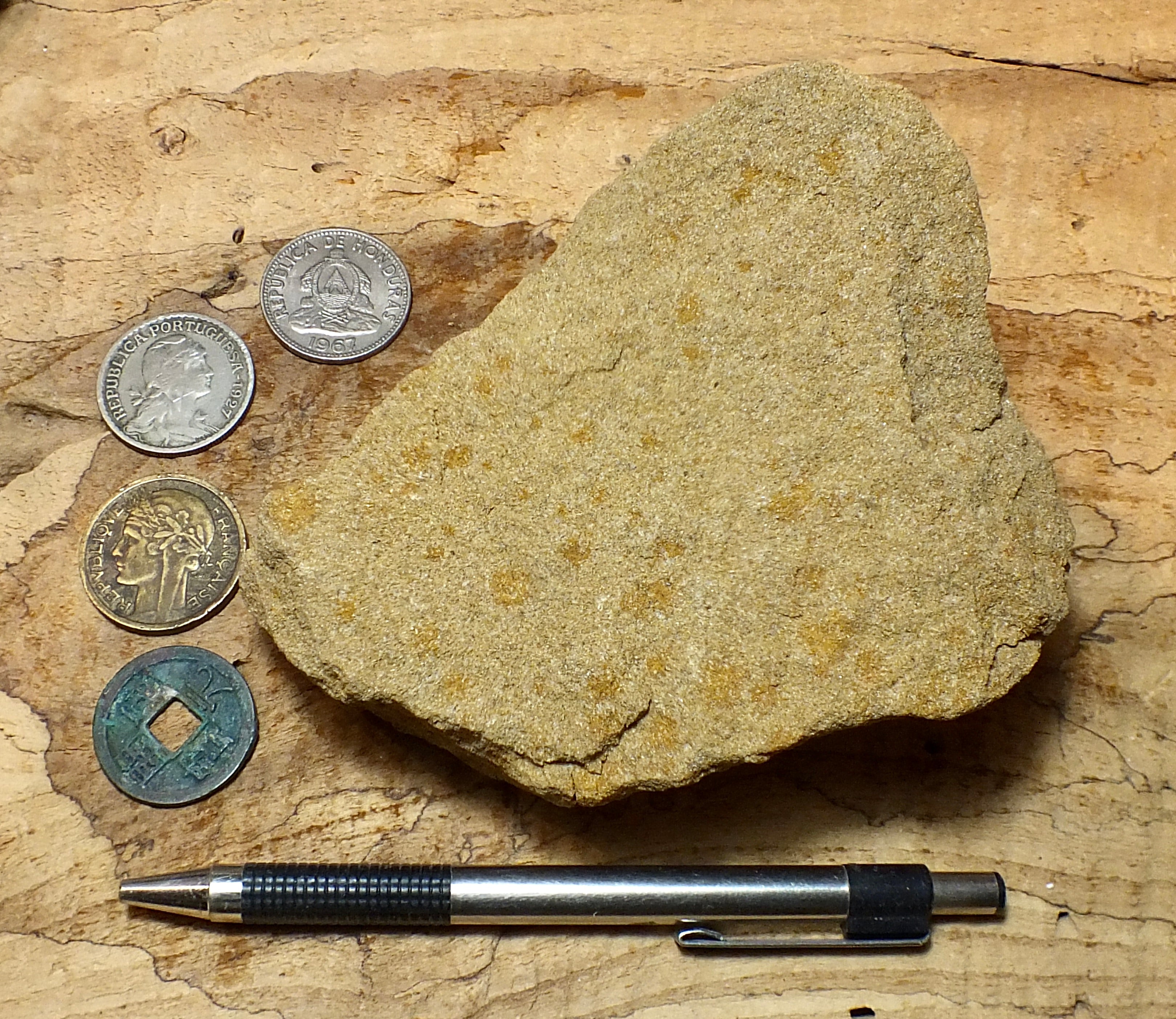 sedimentary rocks – Geological Specimen Supply