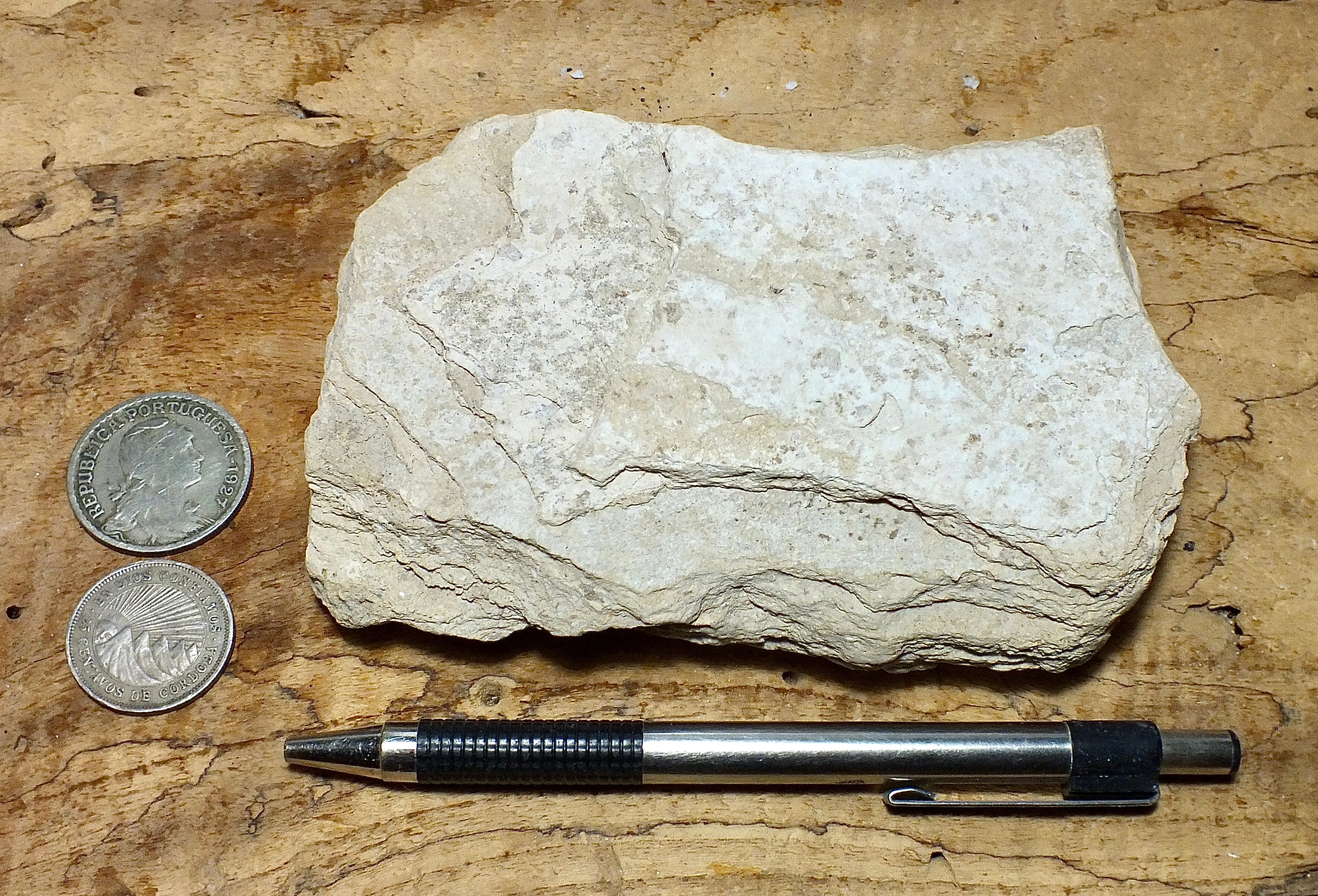 sedimentary rocks – Page 2 – Geological Specimen Supply