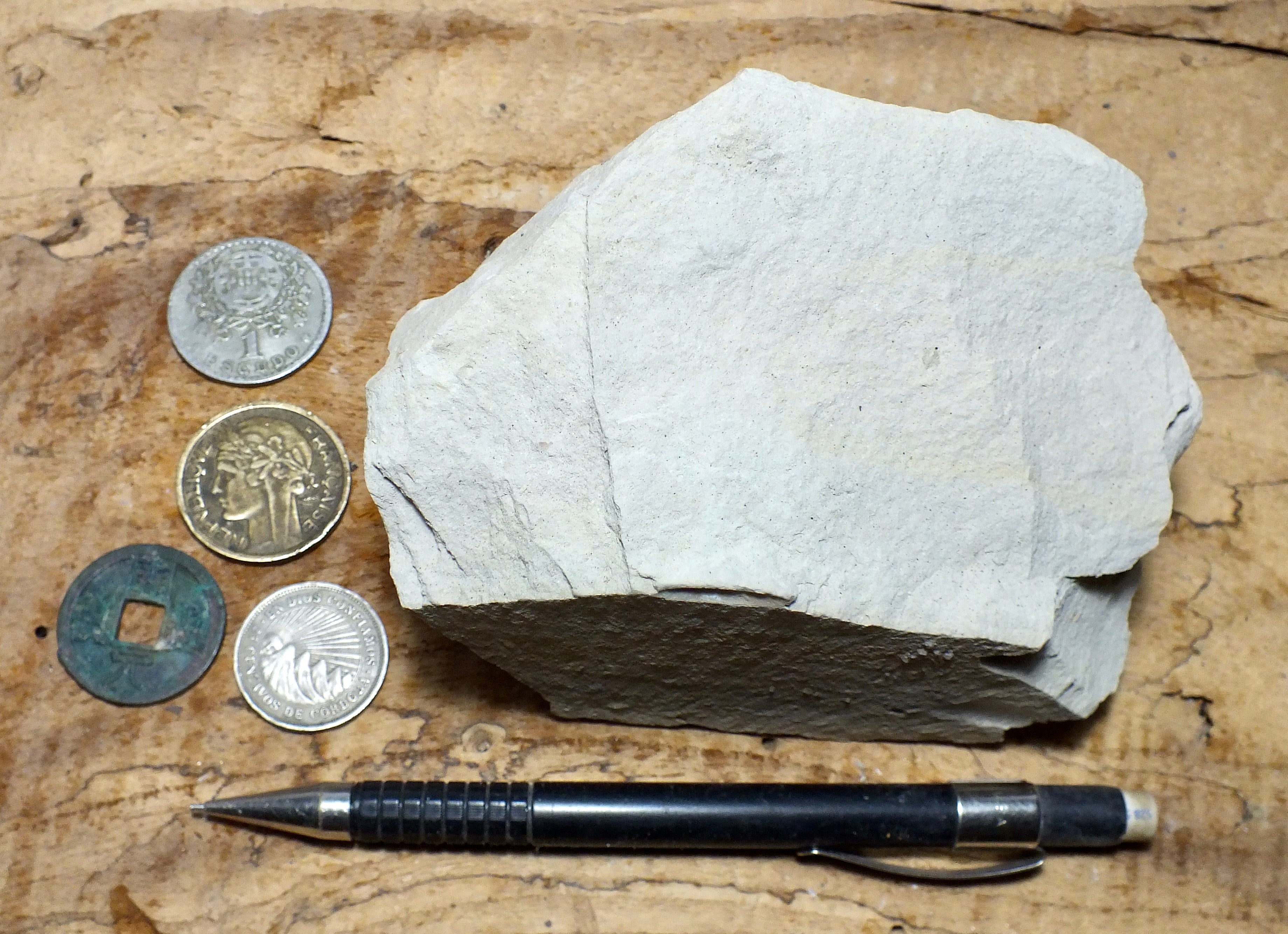 siltstone - tan siltstone from the Round Mountain Silt member of the T ...