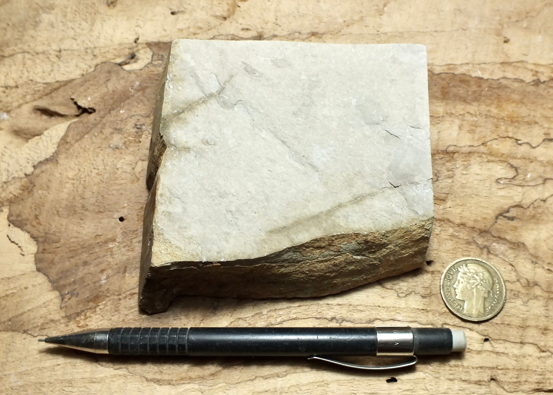 shale - siliceous McLure Shale member of the Miocene Monterey Formatio ...