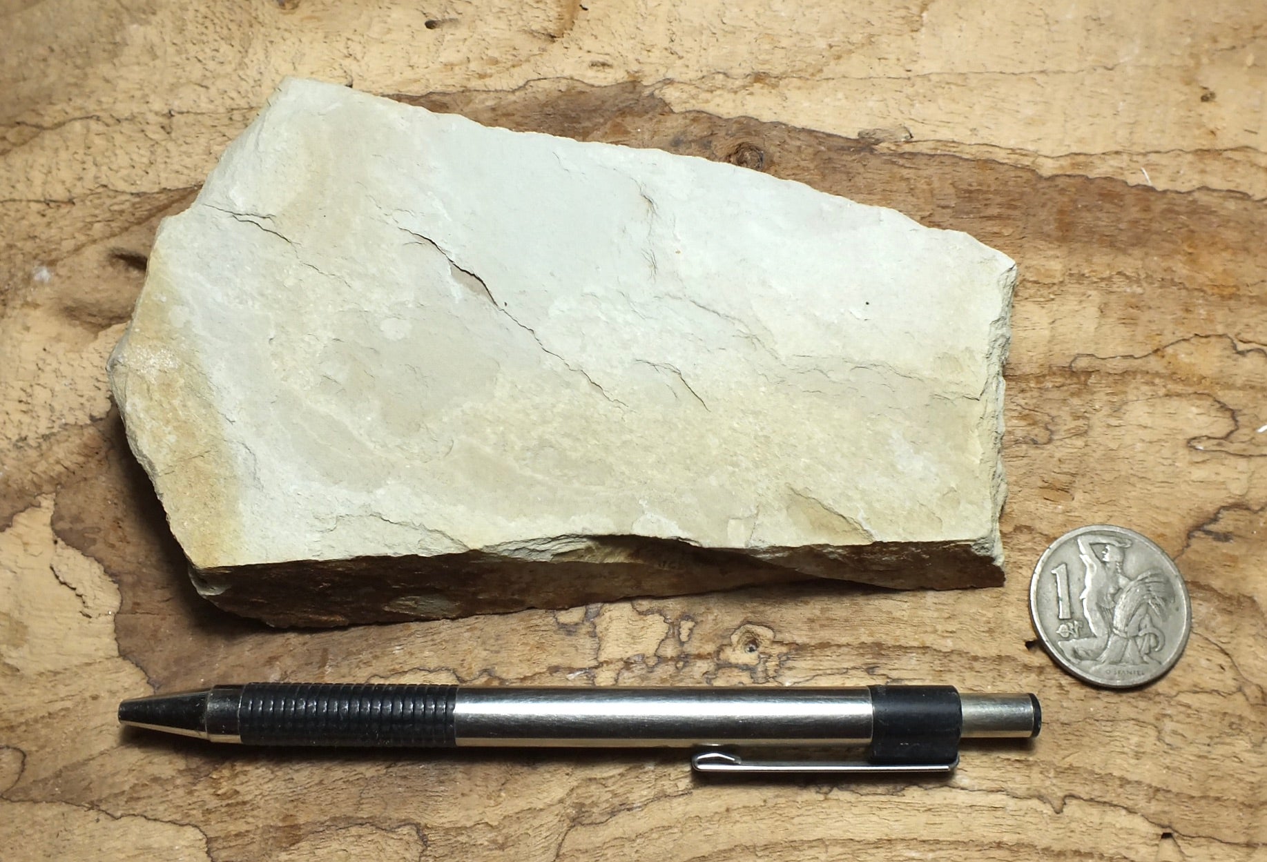 sedimentary rocks – Page 2 – Geological Specimen Supply