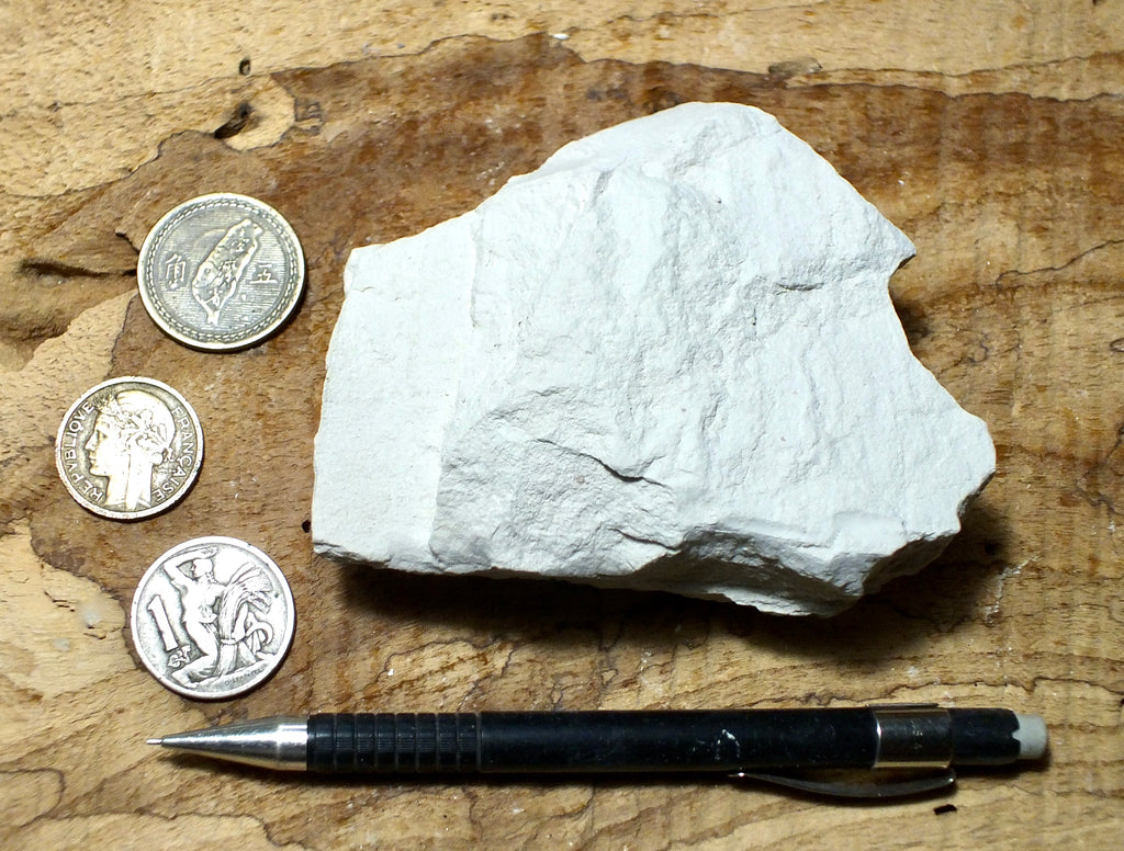 claystone - teaching hand specimen of diatomaceous claystone from the ...