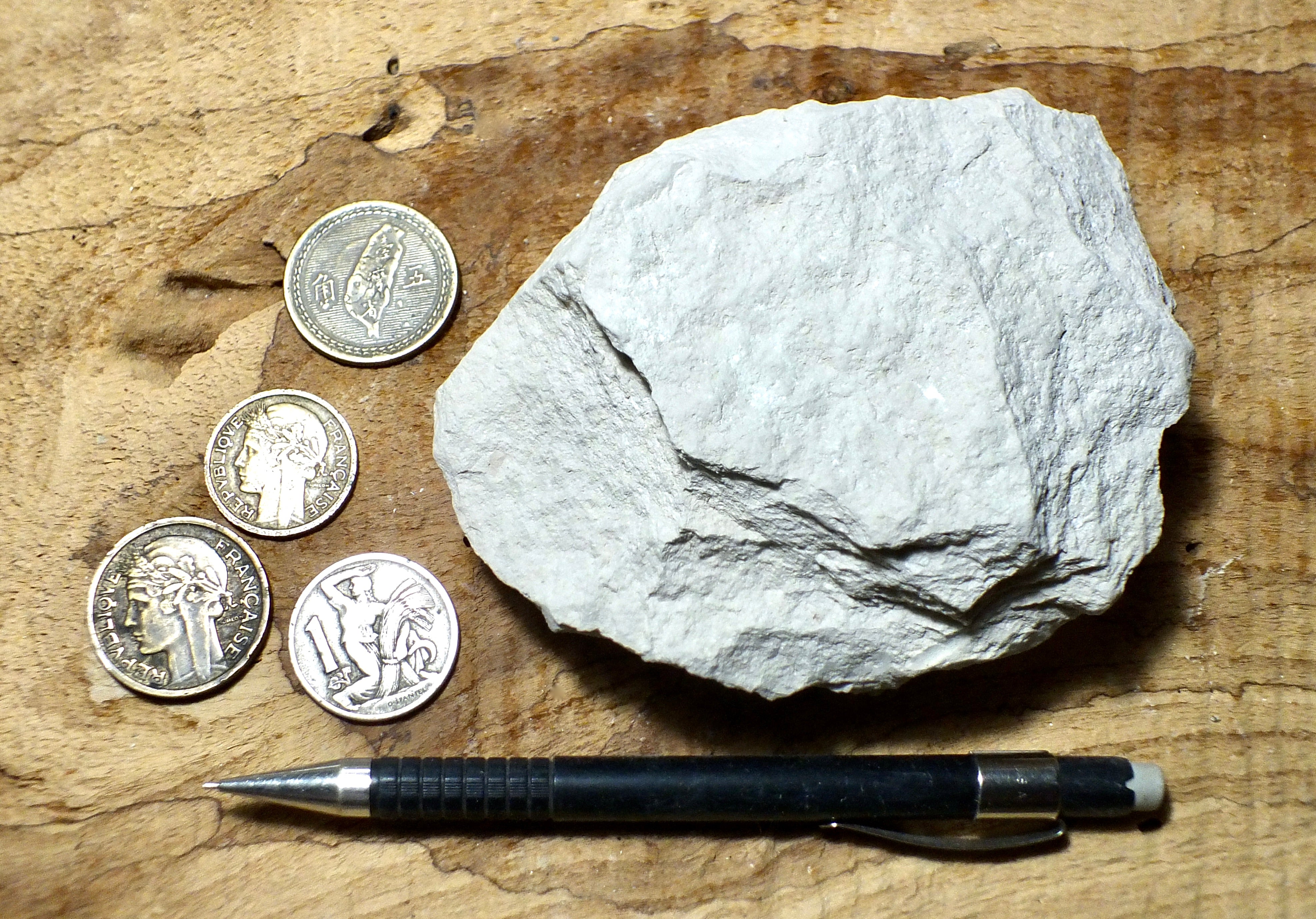 sedimentary rocks – Geological Specimen Supply