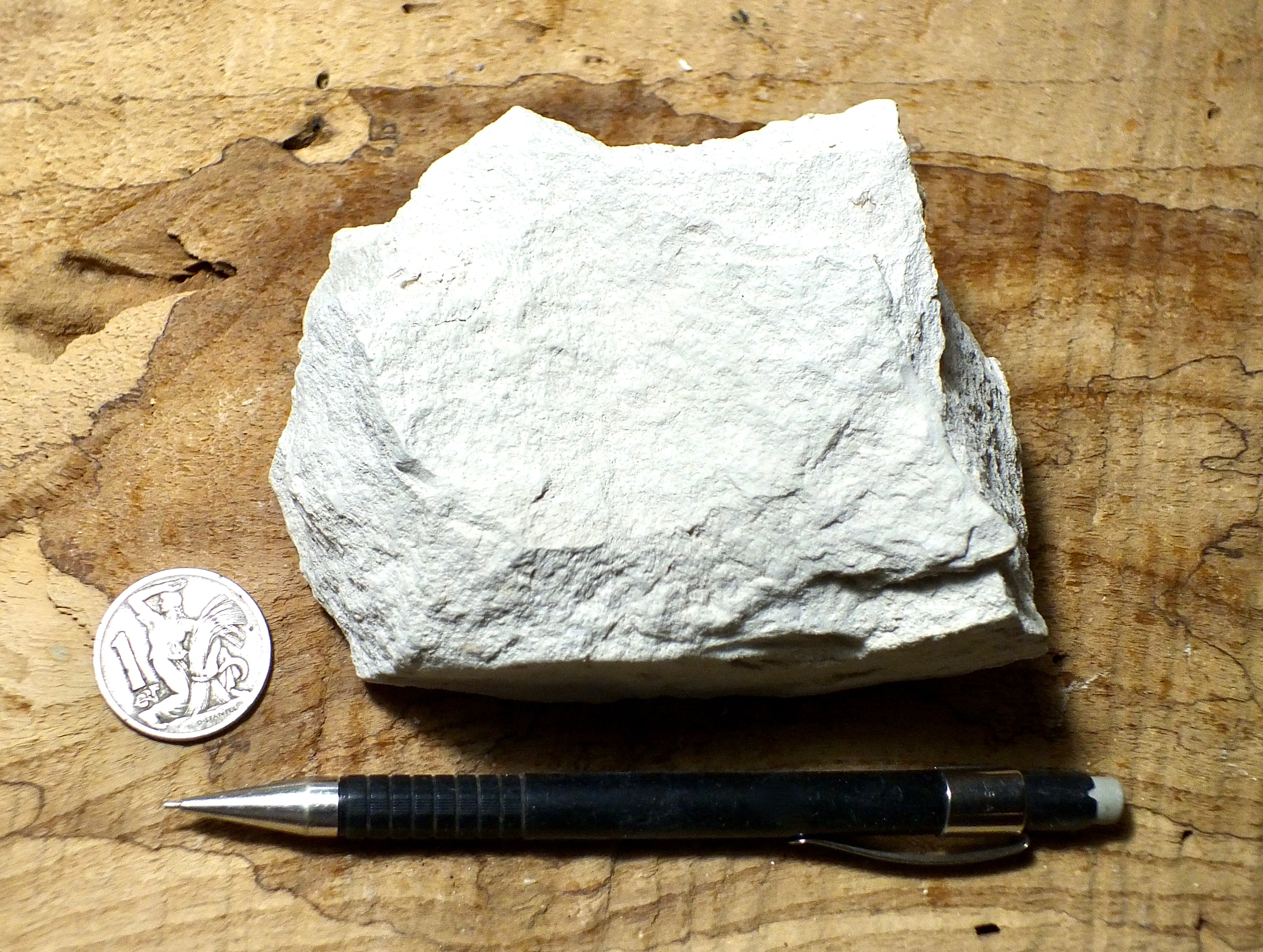 claystone - teaching hand specimen of diatomaceous claystone from the ...