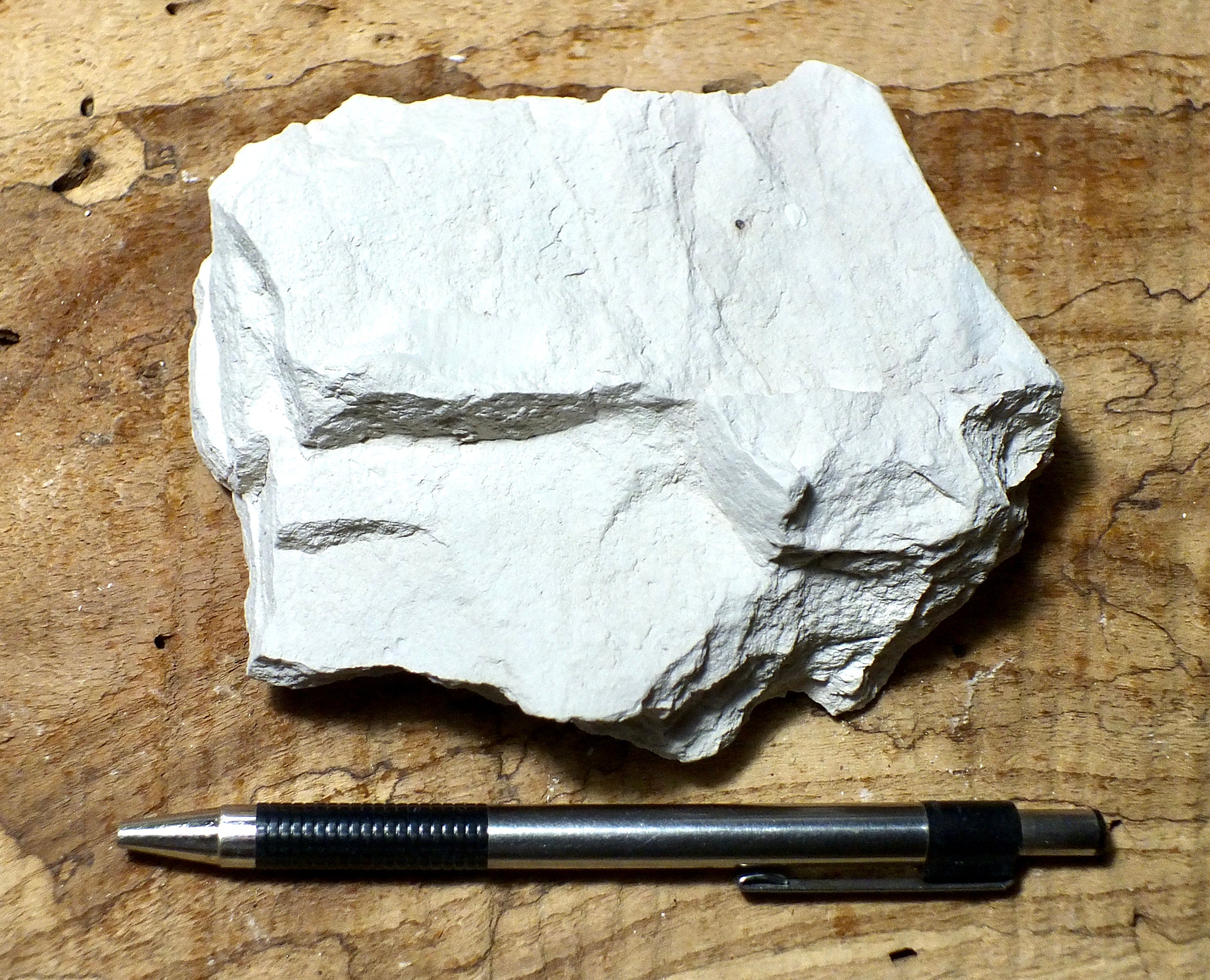 claystone - teaching hand specimen of diatomaceous claystone from the ...
