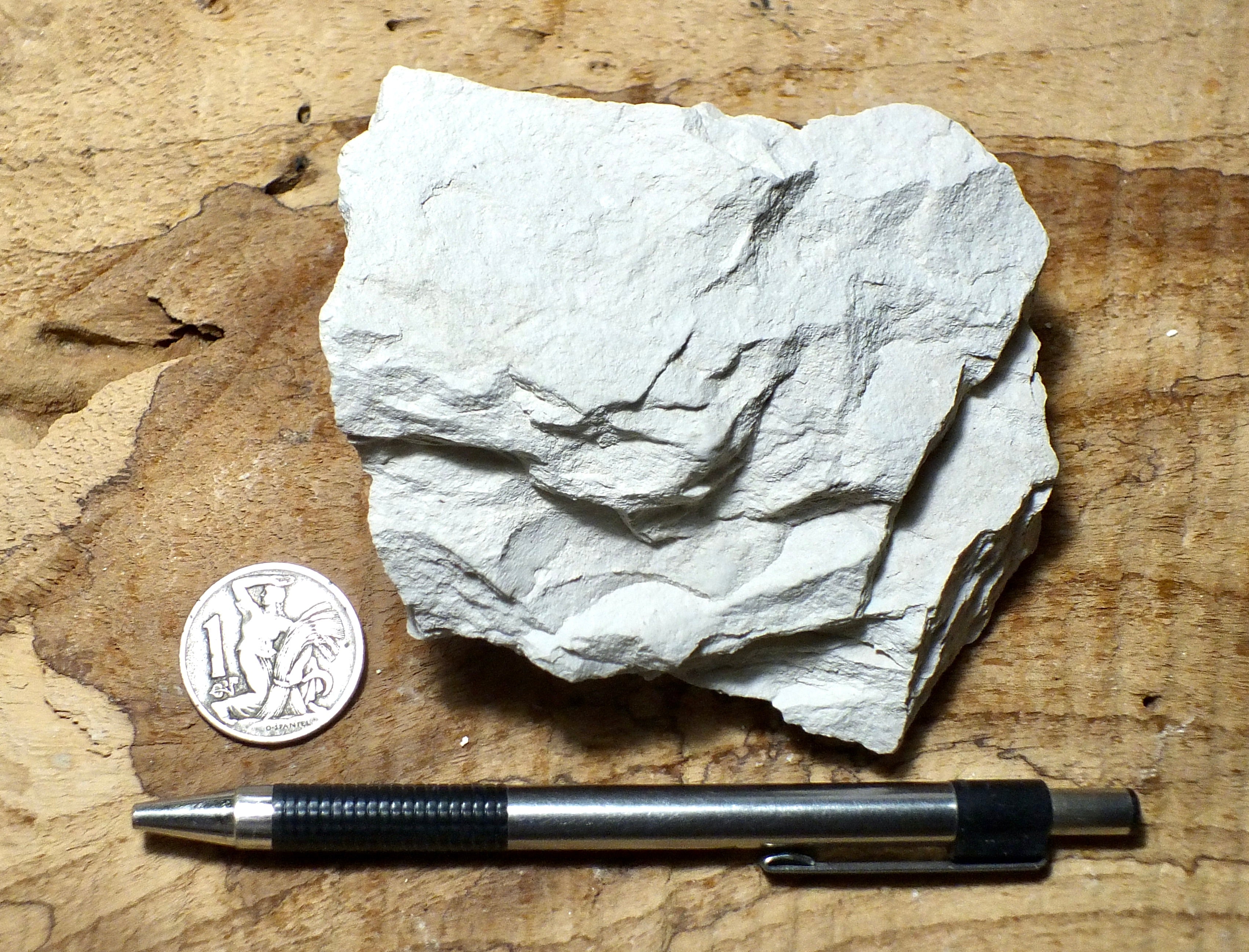 sedimentary rocks – Geological Specimen Supply