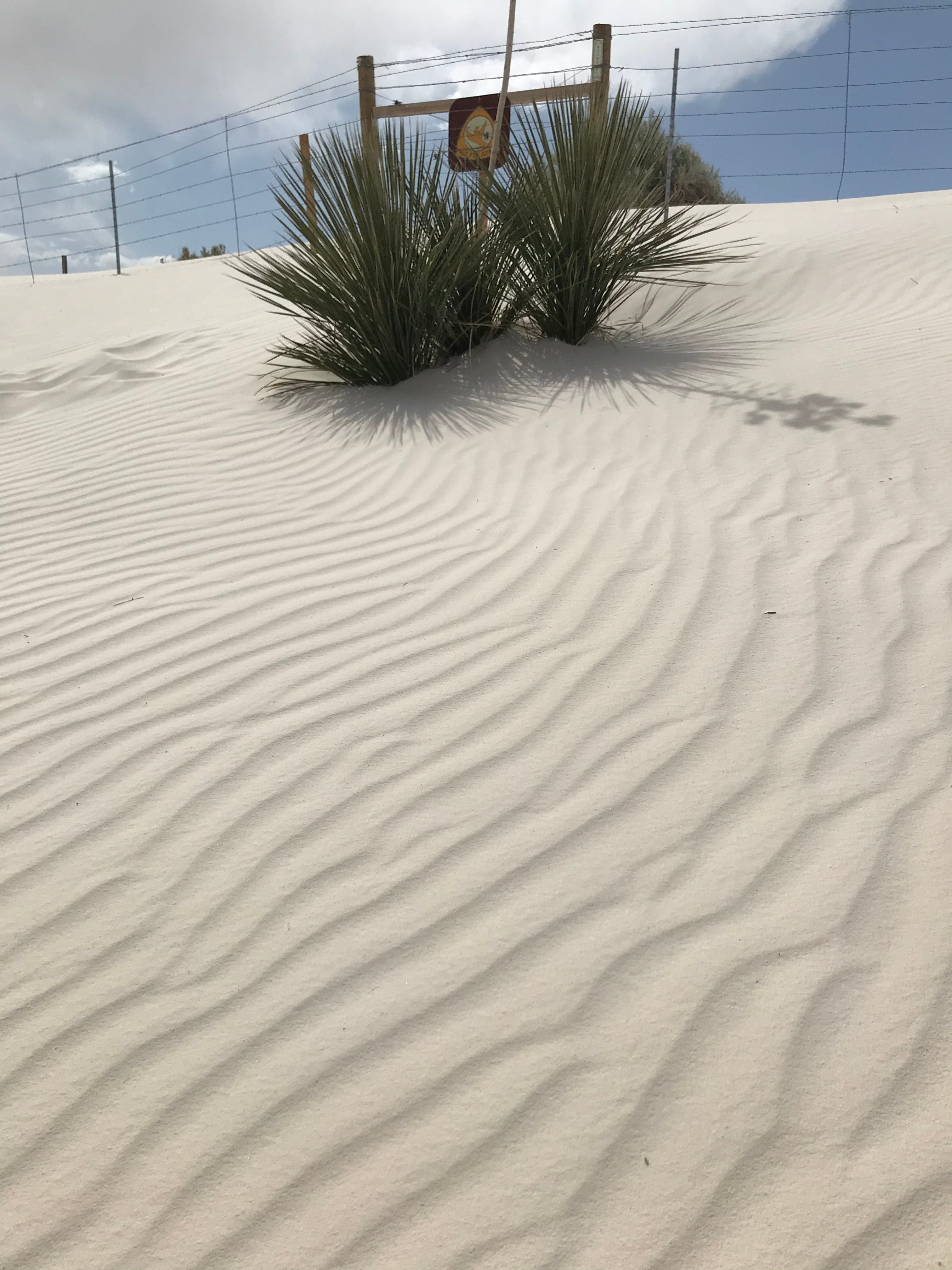 sand types – Geological Specimen Supply