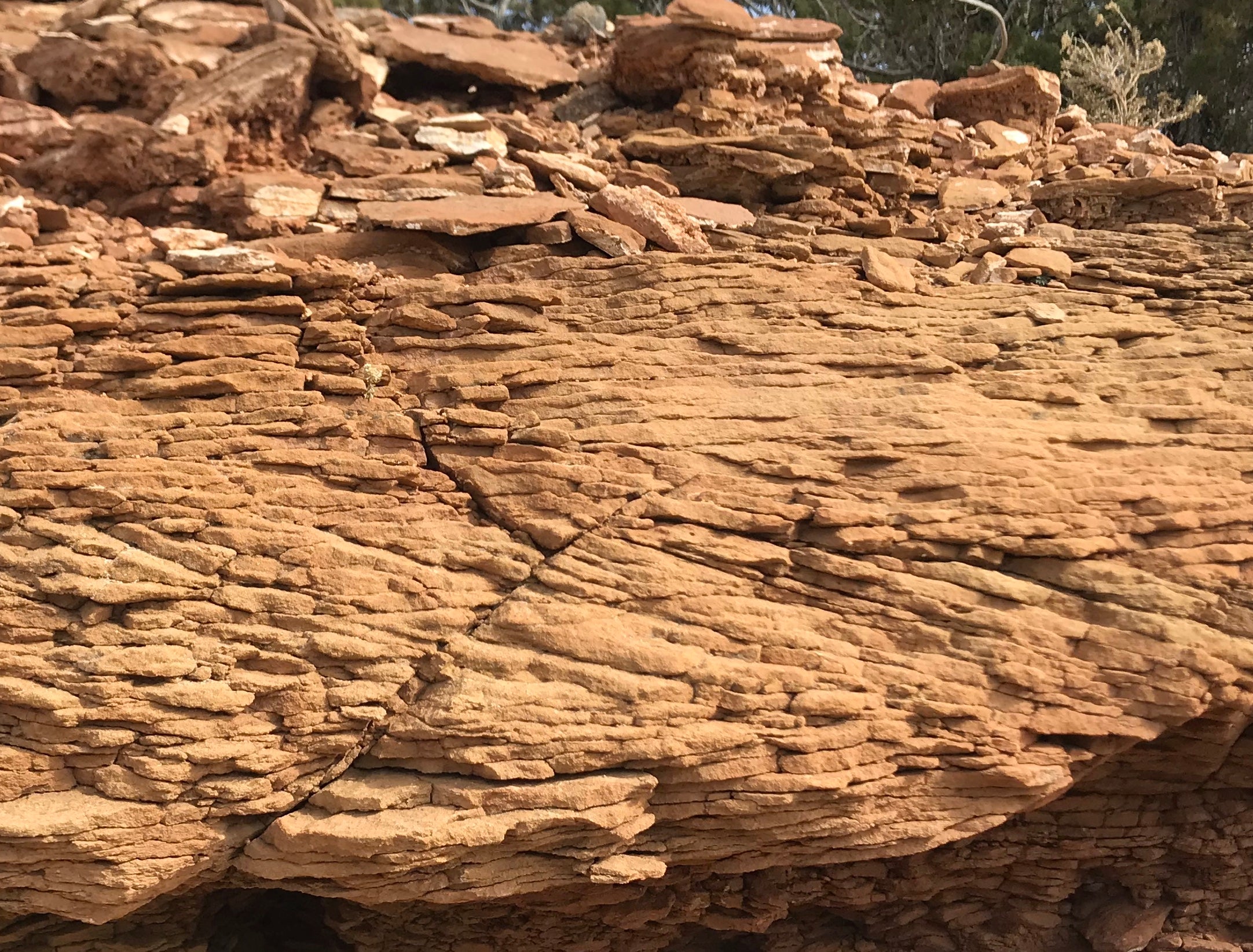 sedimentary rocks – Geological Specimen Supply