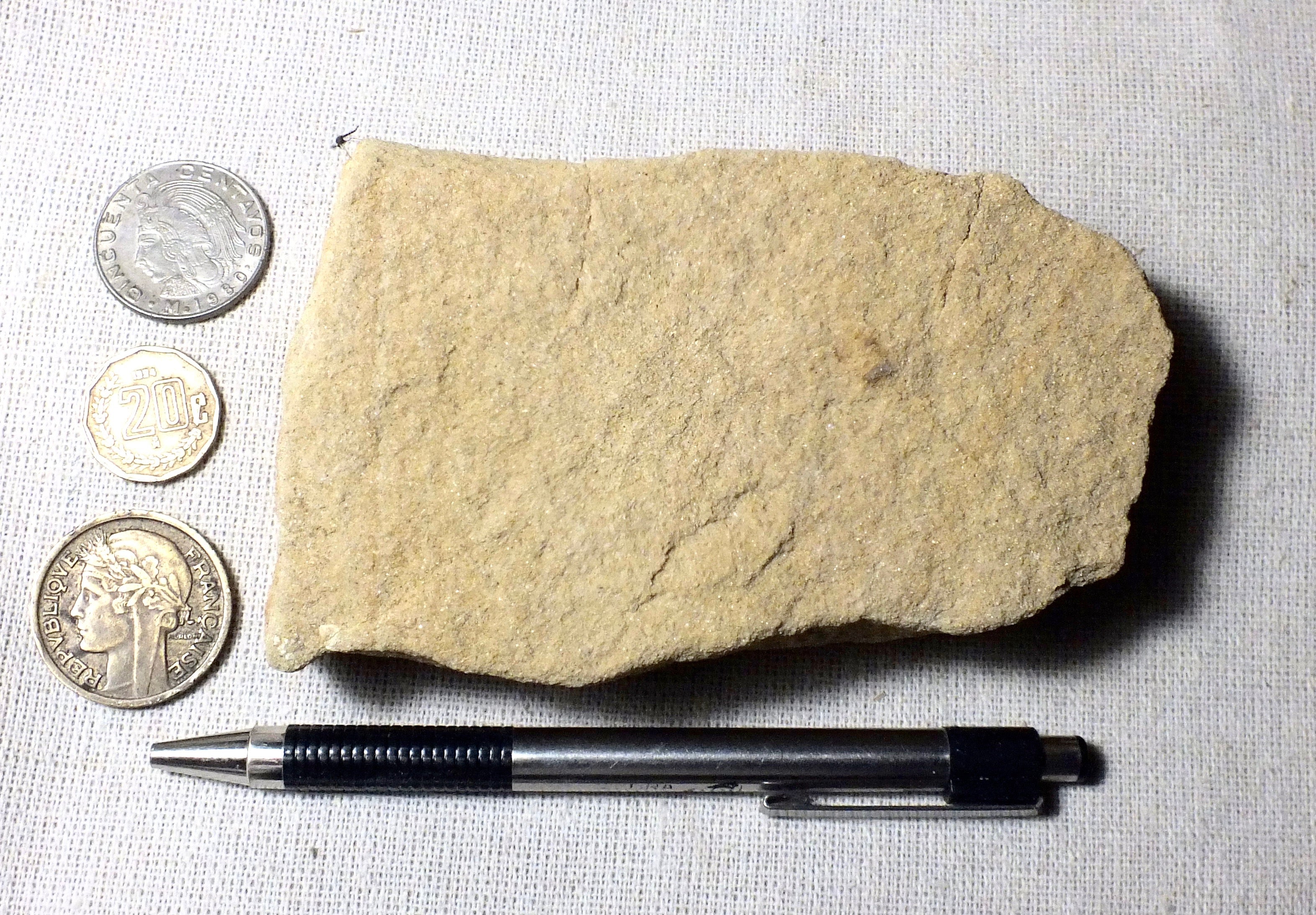 sedimentary rocks – Page 2 – Geological Specimen Supply