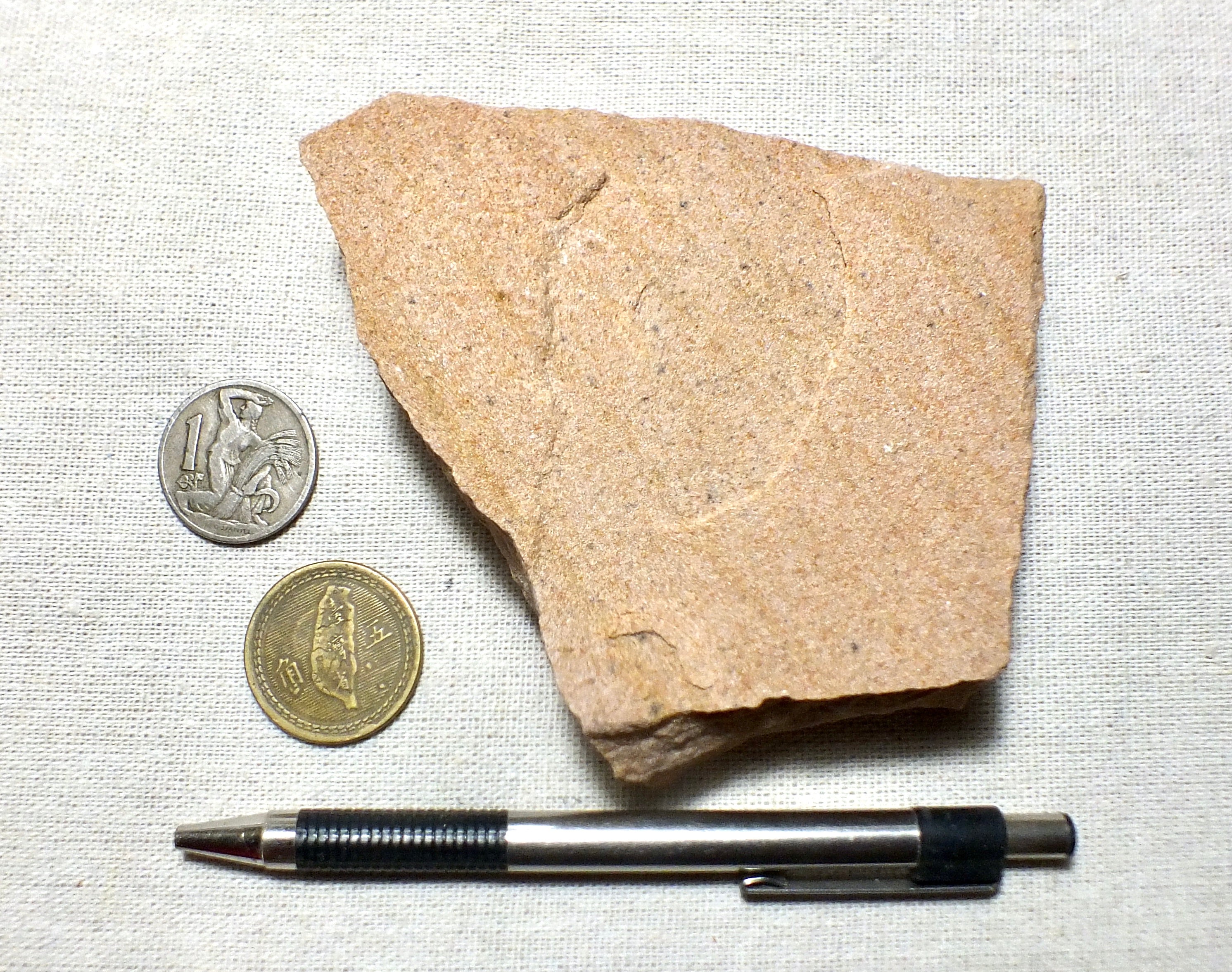 sedimentary rocks – Page 2 – Geological Specimen Supply