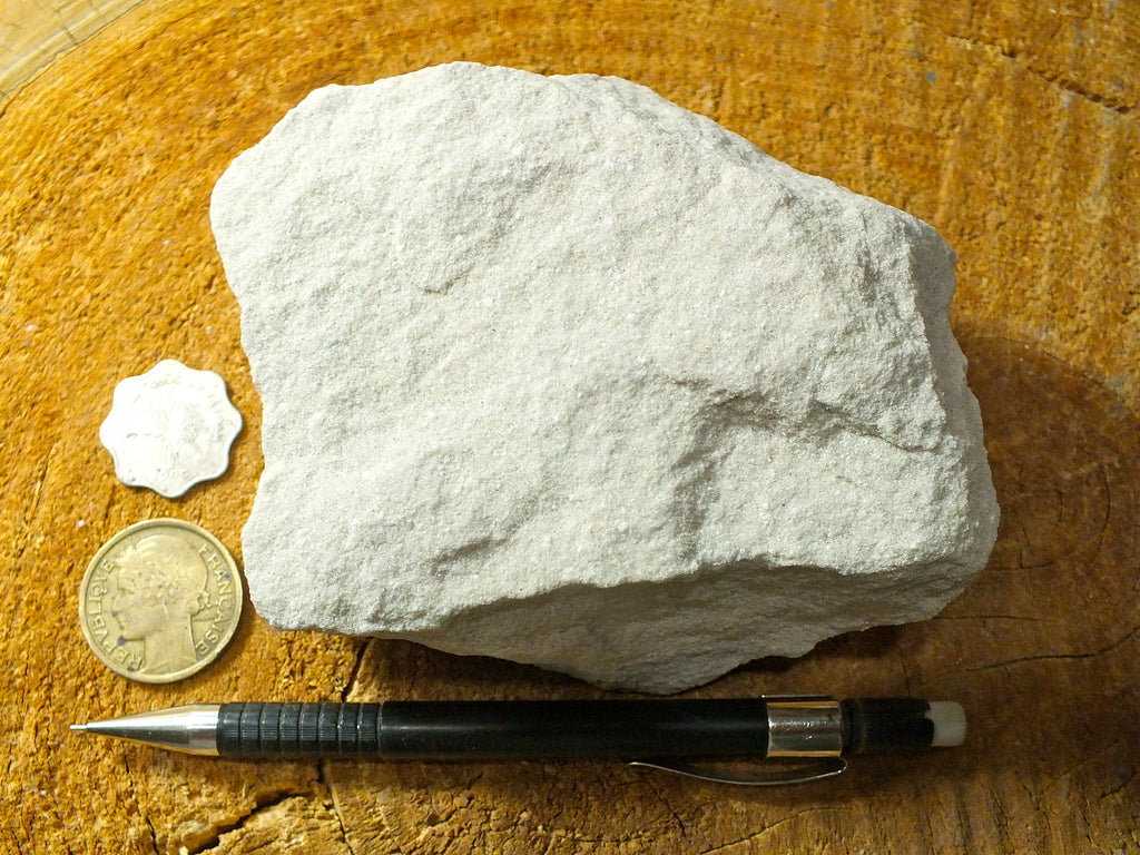 sandstone - teaching hand specimen of Jurassic fine-grained white Nava ...